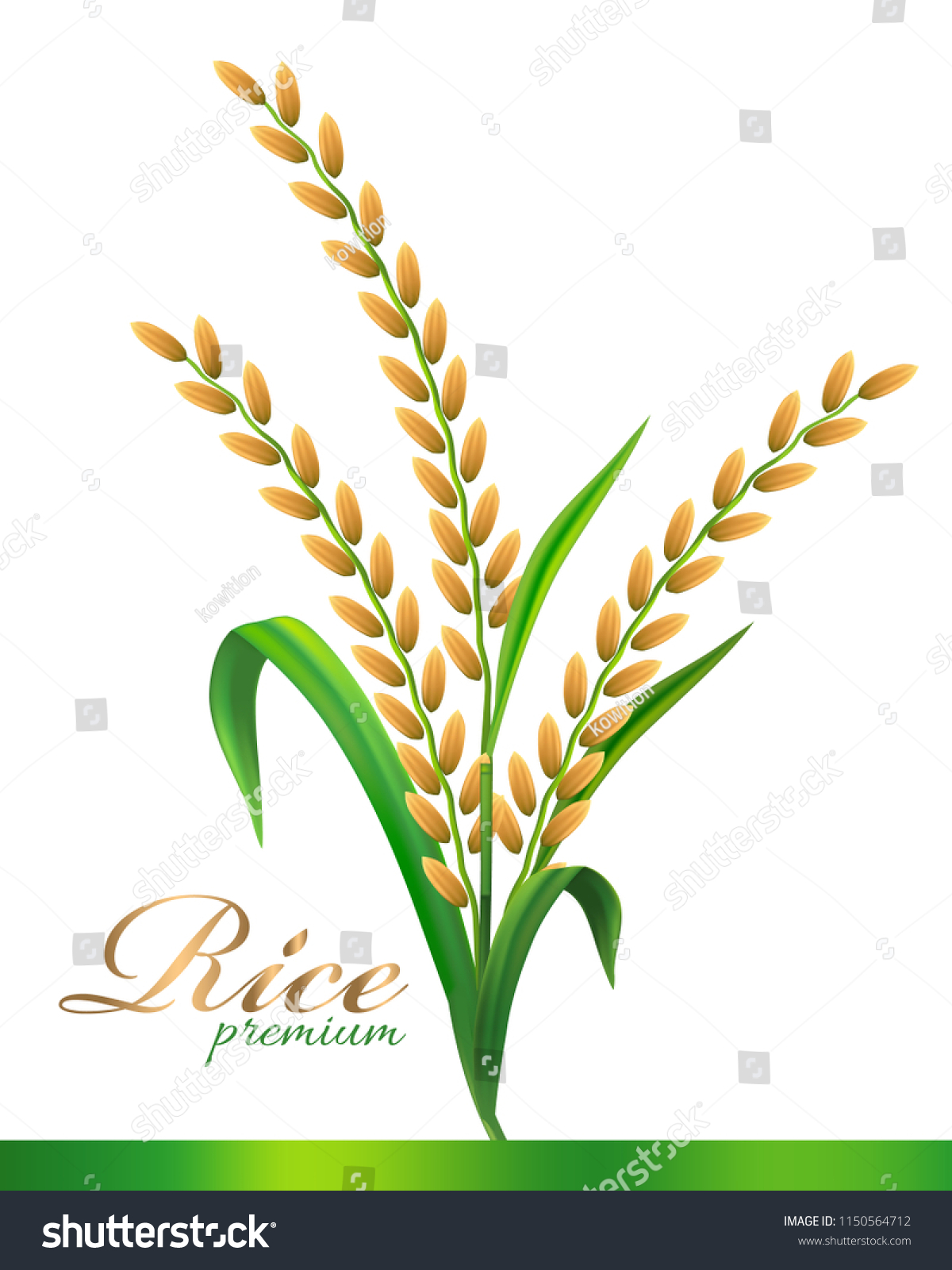 Rice Realistic Vector Illustration Stock Vector (Royalty Free ...