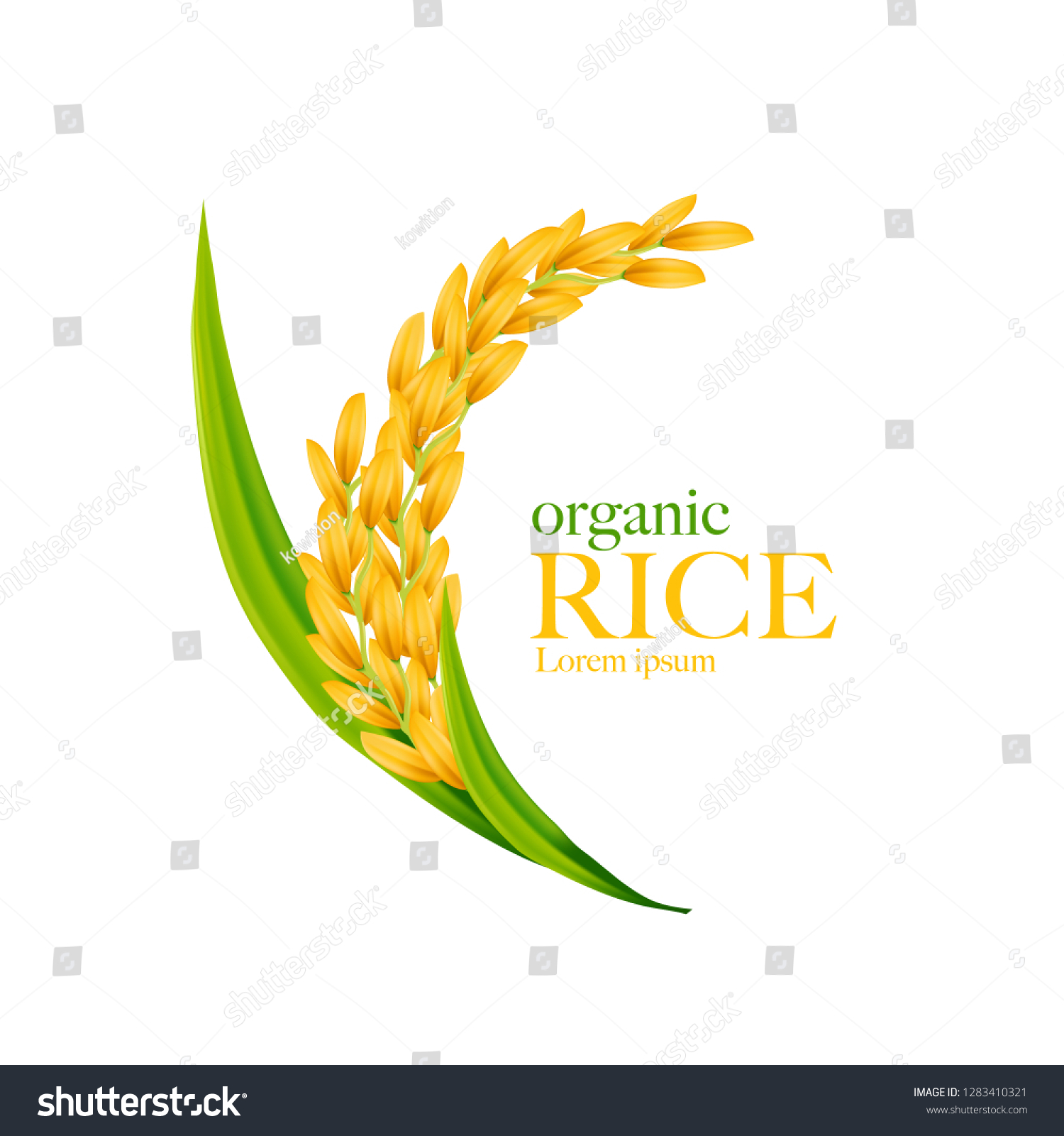 Rice Realistic Vector Illustration Stock Vector (Royalty Free) 1283410321