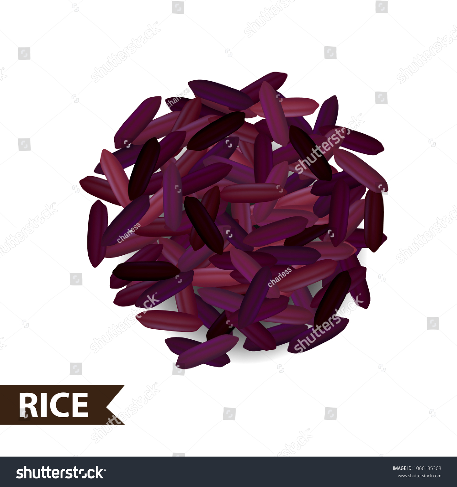 Rice Seed Vector Illustration: vector de stock (libre de regalías ...