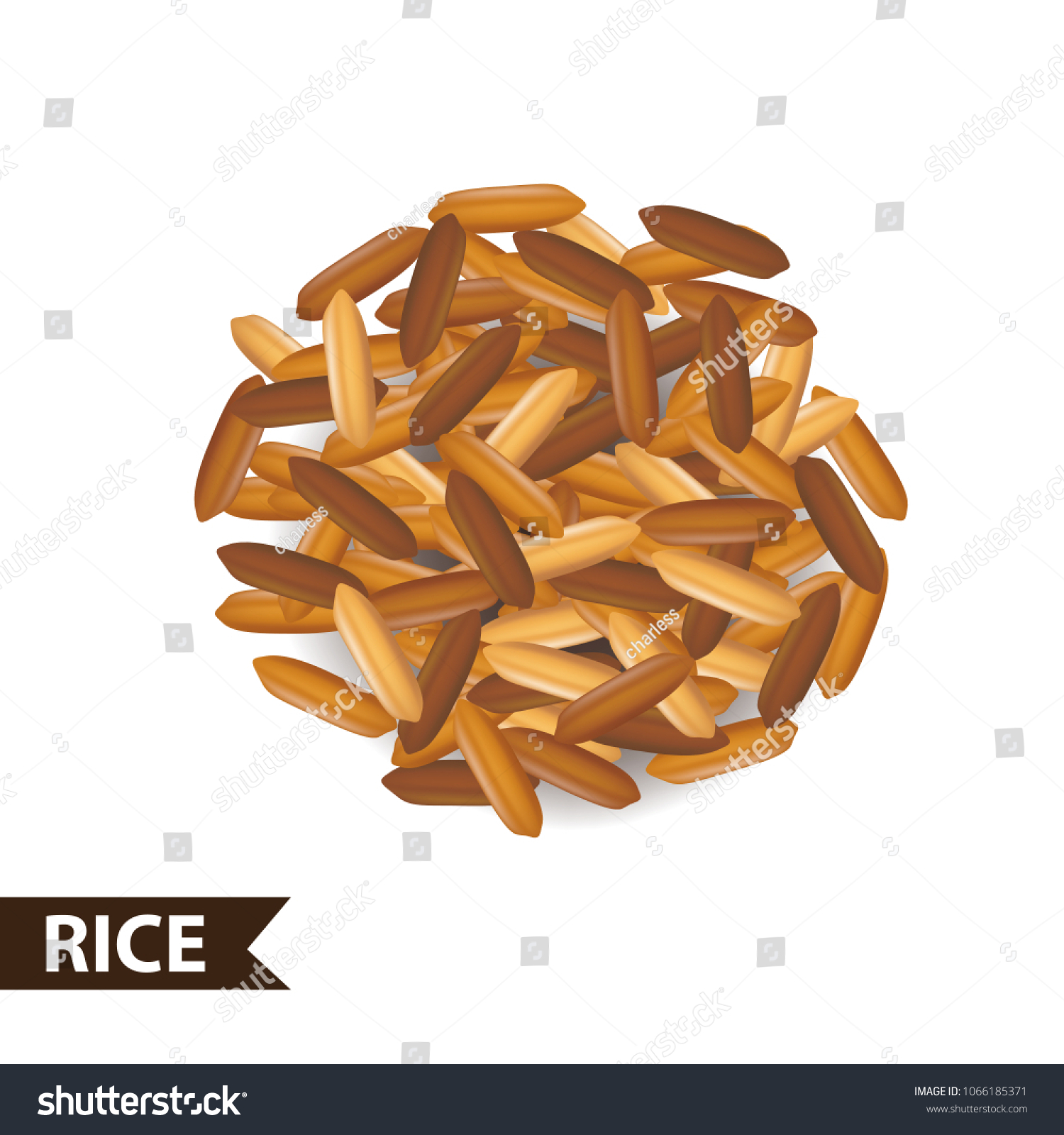 Rice Seed Vector Illustration: vector de stock (libre de regalías ...