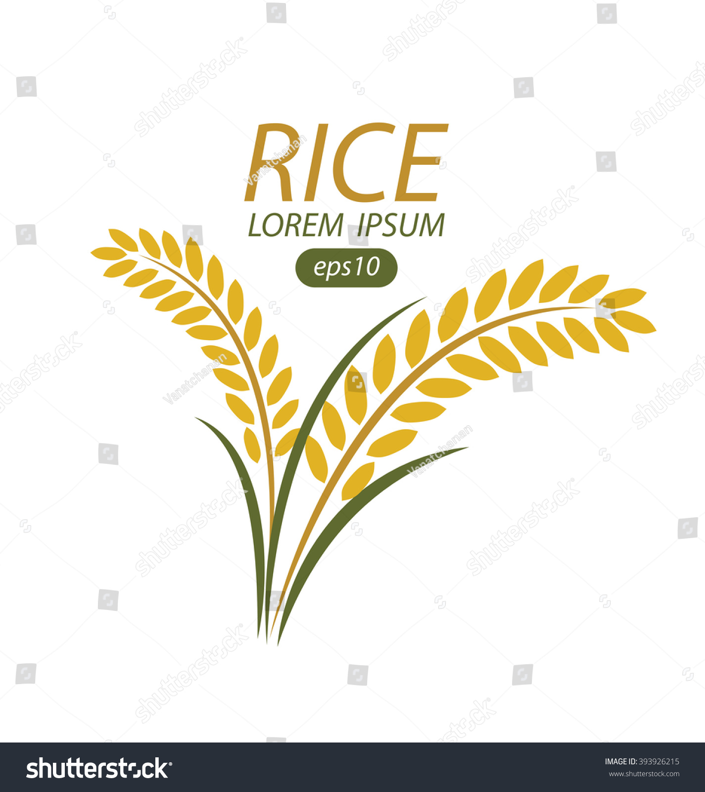 Rice Vector Illustration Stock Vector (Royalty Free) 393926215