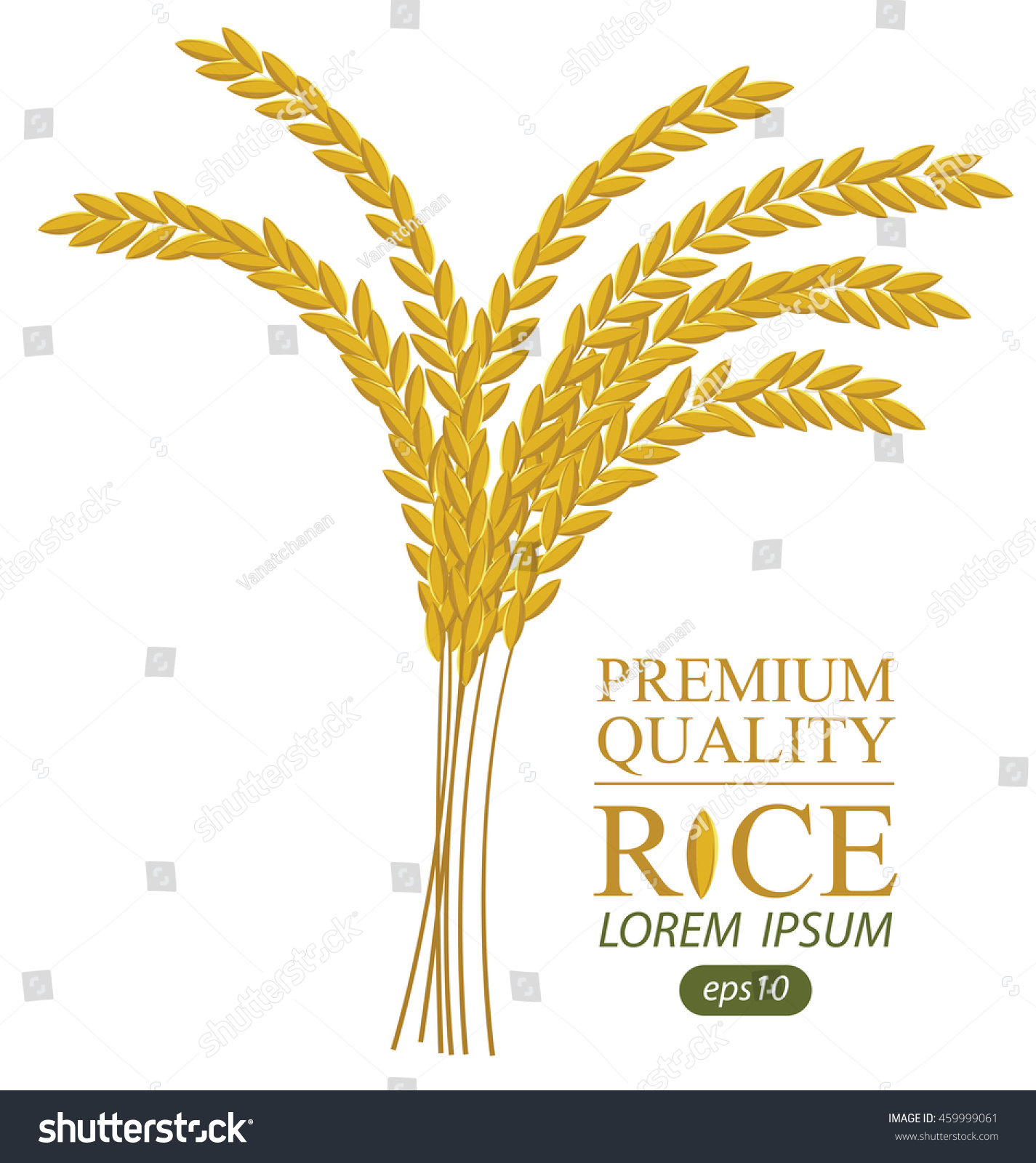 Rice Vector Illustration: เวกเตอร์สต็อก (ปลอดค่าลิขสิทธิ์) 459999061 ...