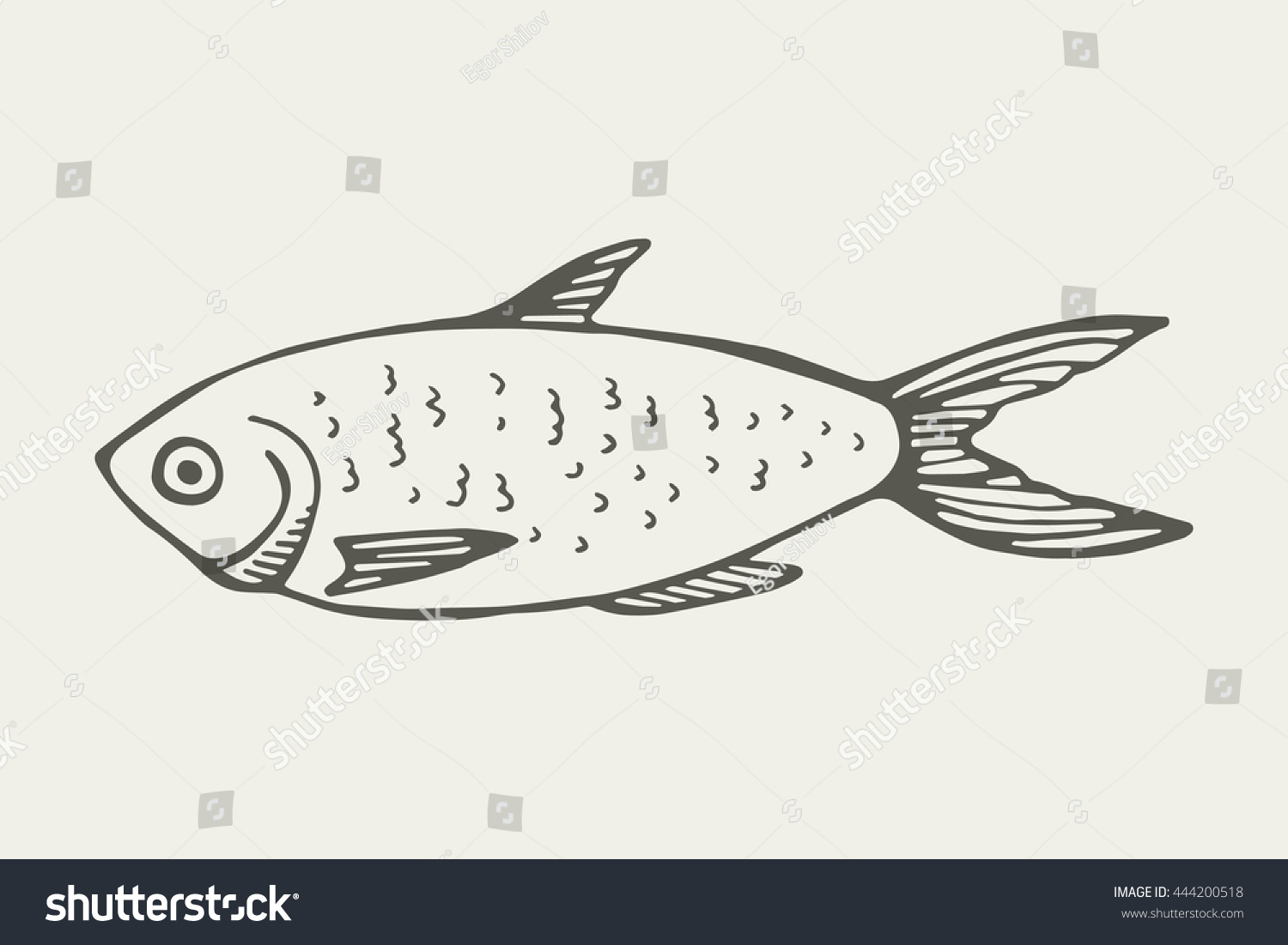 River Fish Drawing Illustration Stock Vector (Royalty Free) 444200518 ...