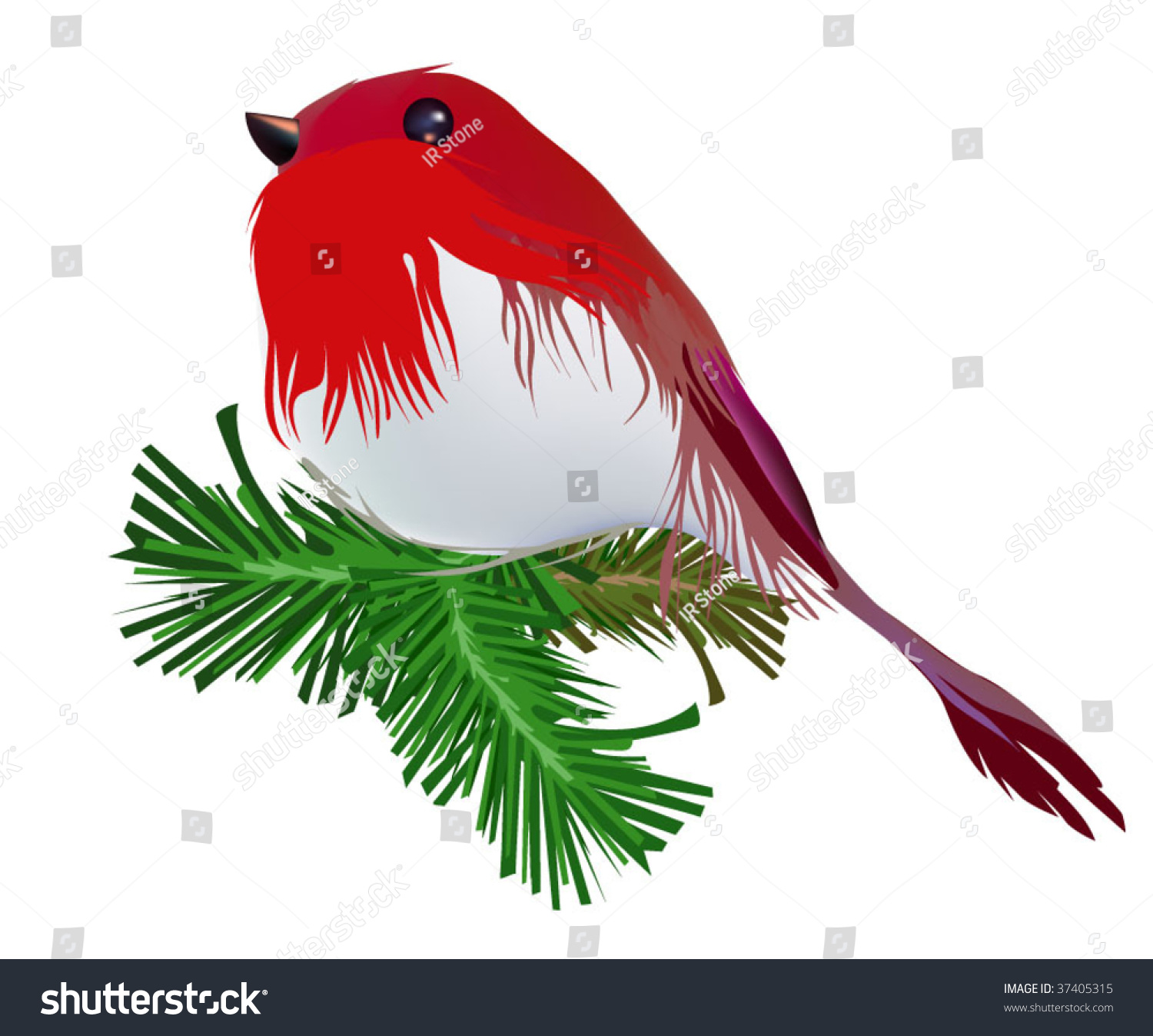 Robin Christmas Bird Stock Vector (Royalty Free) 37405315