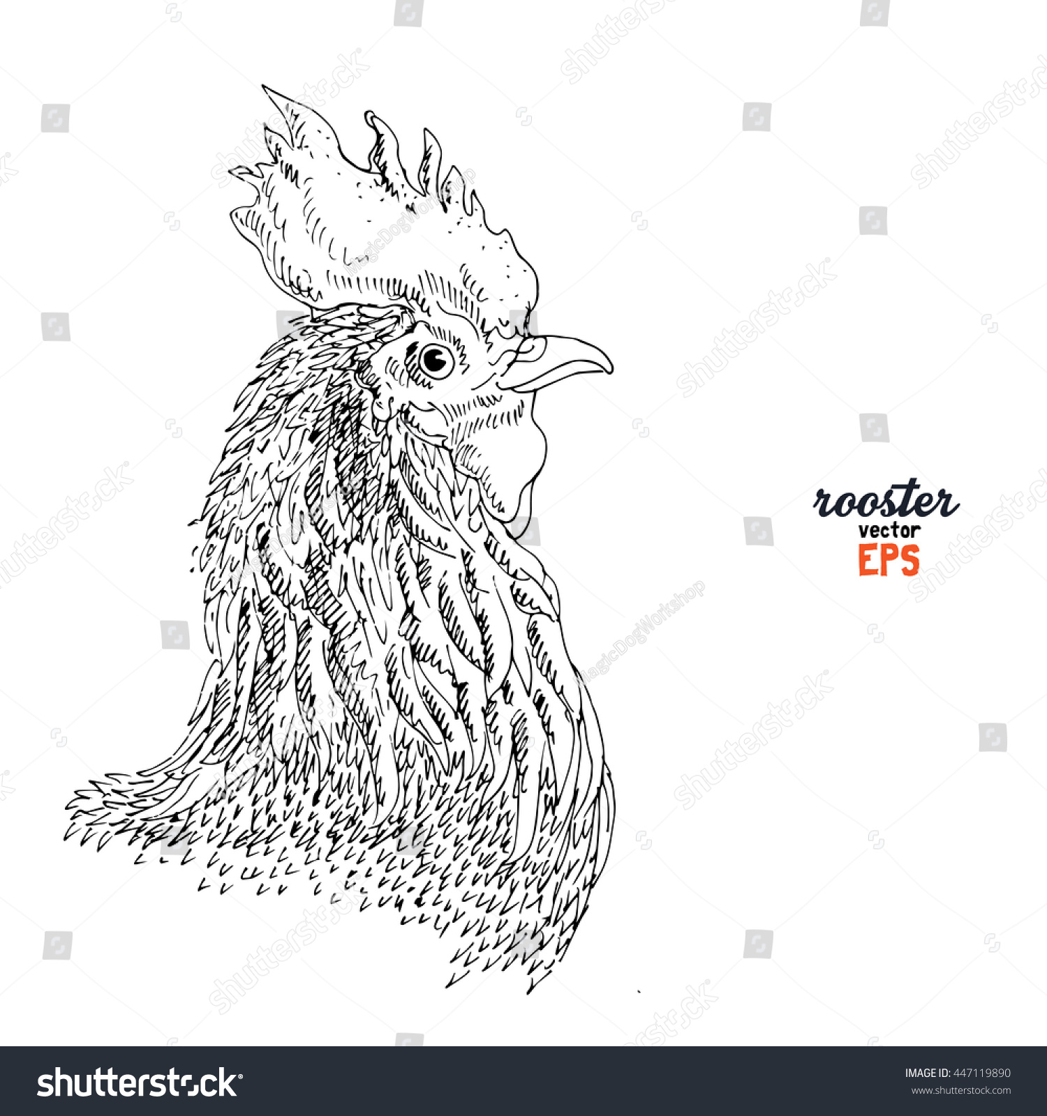 Rooster Bird Drawing Illustration Vector Stock Vector (Royalty Free ...