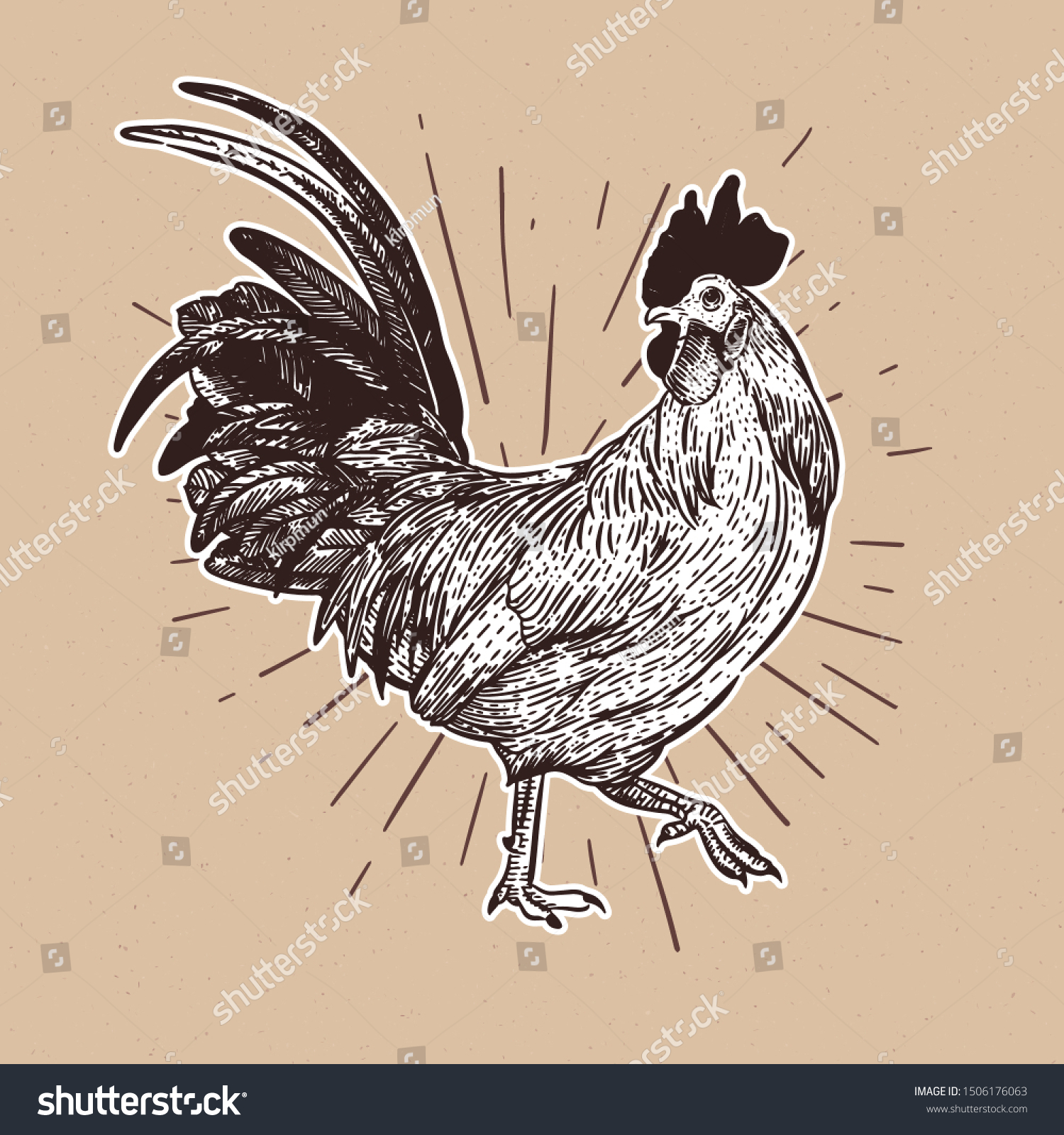 Rooster Hand Draw Sketch Vector Stock Vector (Royalty Free) 1506176063 ...