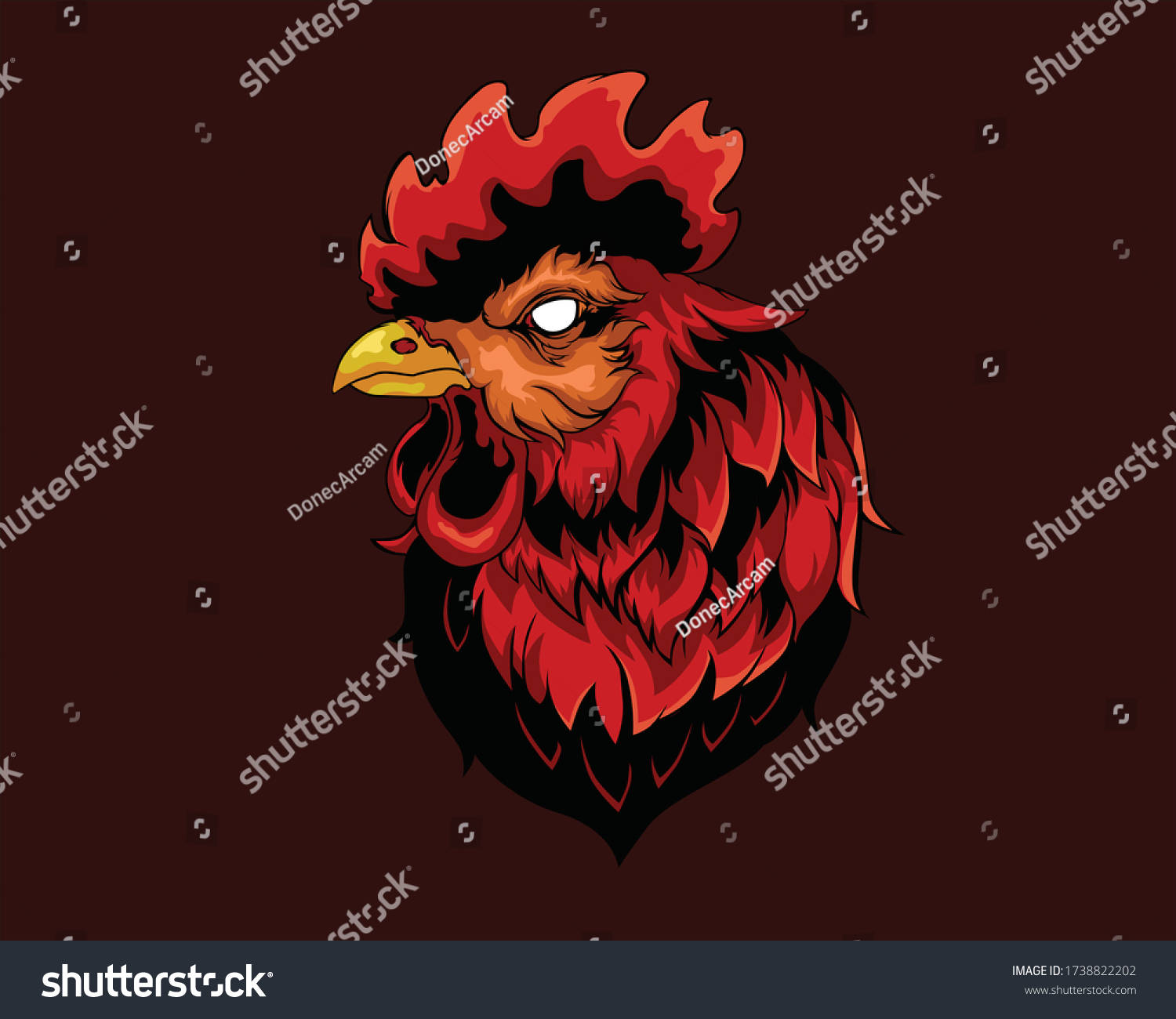 Rooster Head Vector Illustration Front View Stock Vector (Royalty Free ...