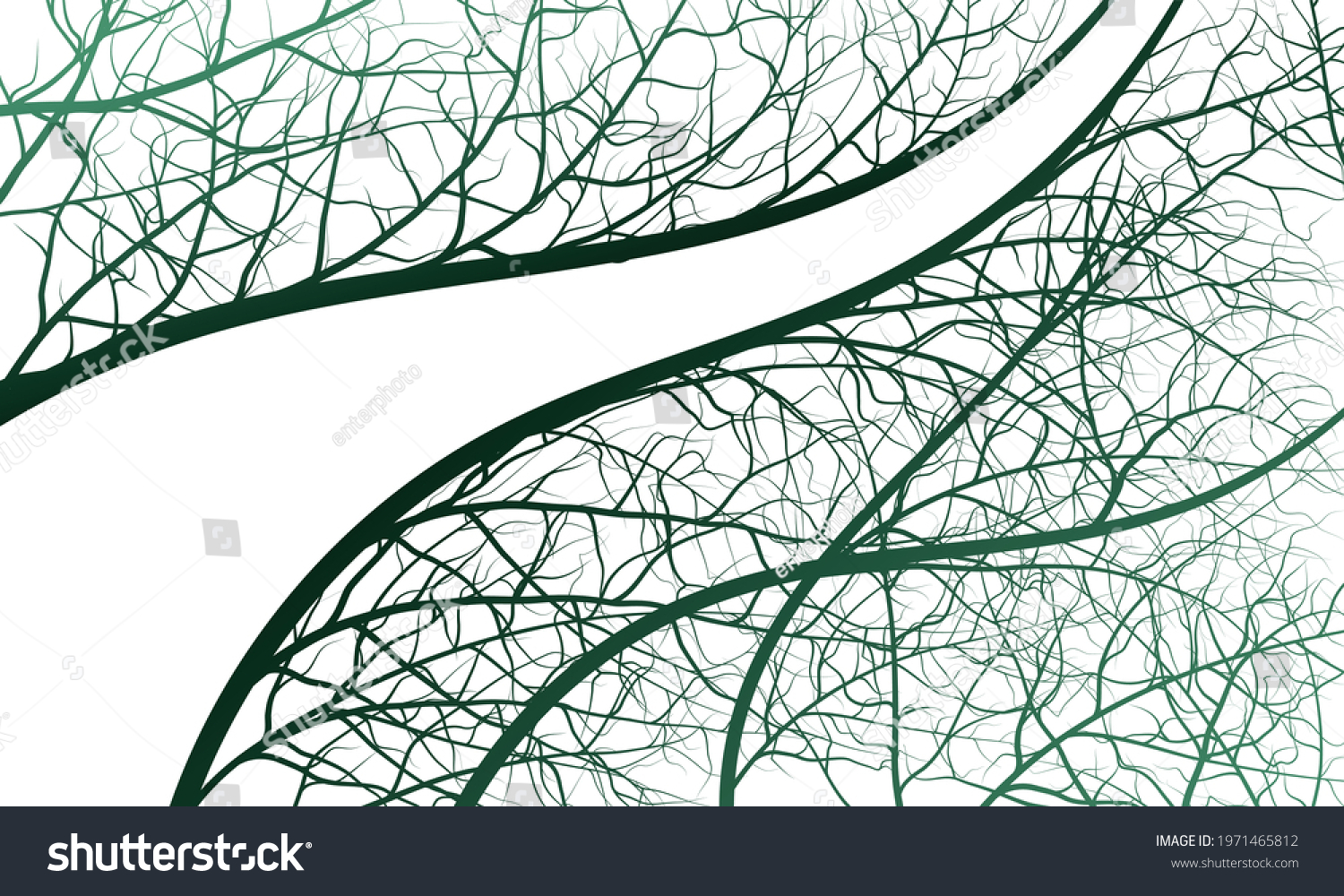 Root Abstract Graphic Backgroundvector Illustration Stock Vector ...