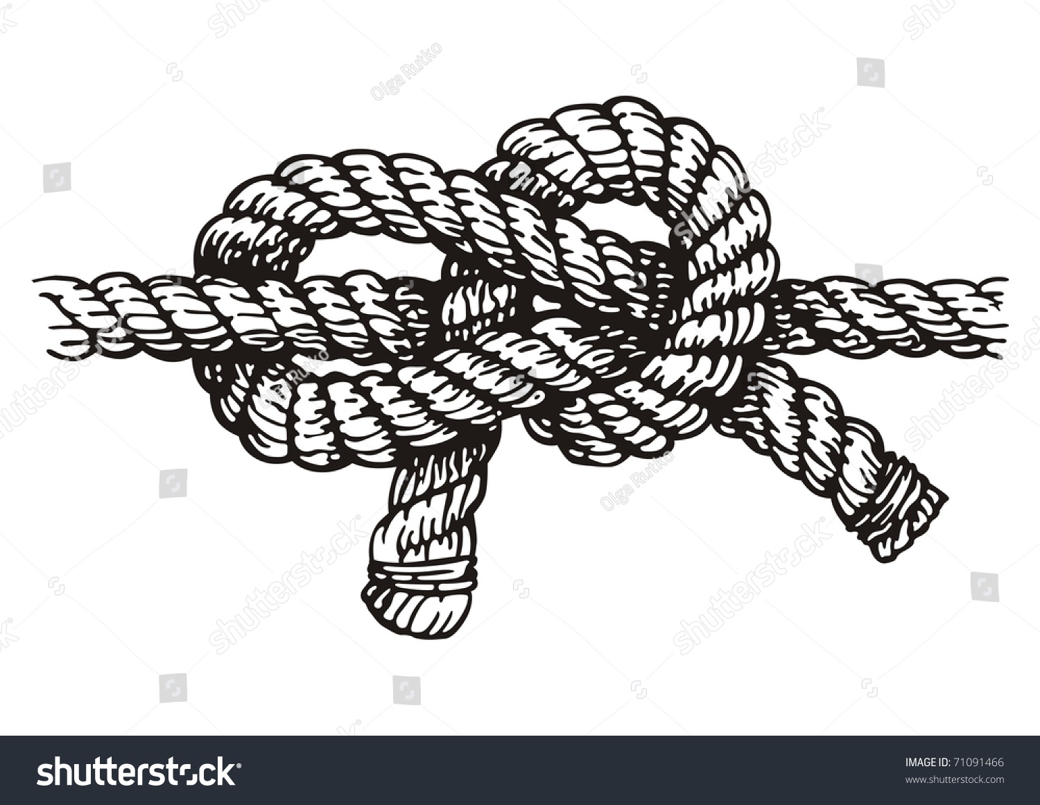 Rope Vector Stock Vector (Royalty Free) 71091466