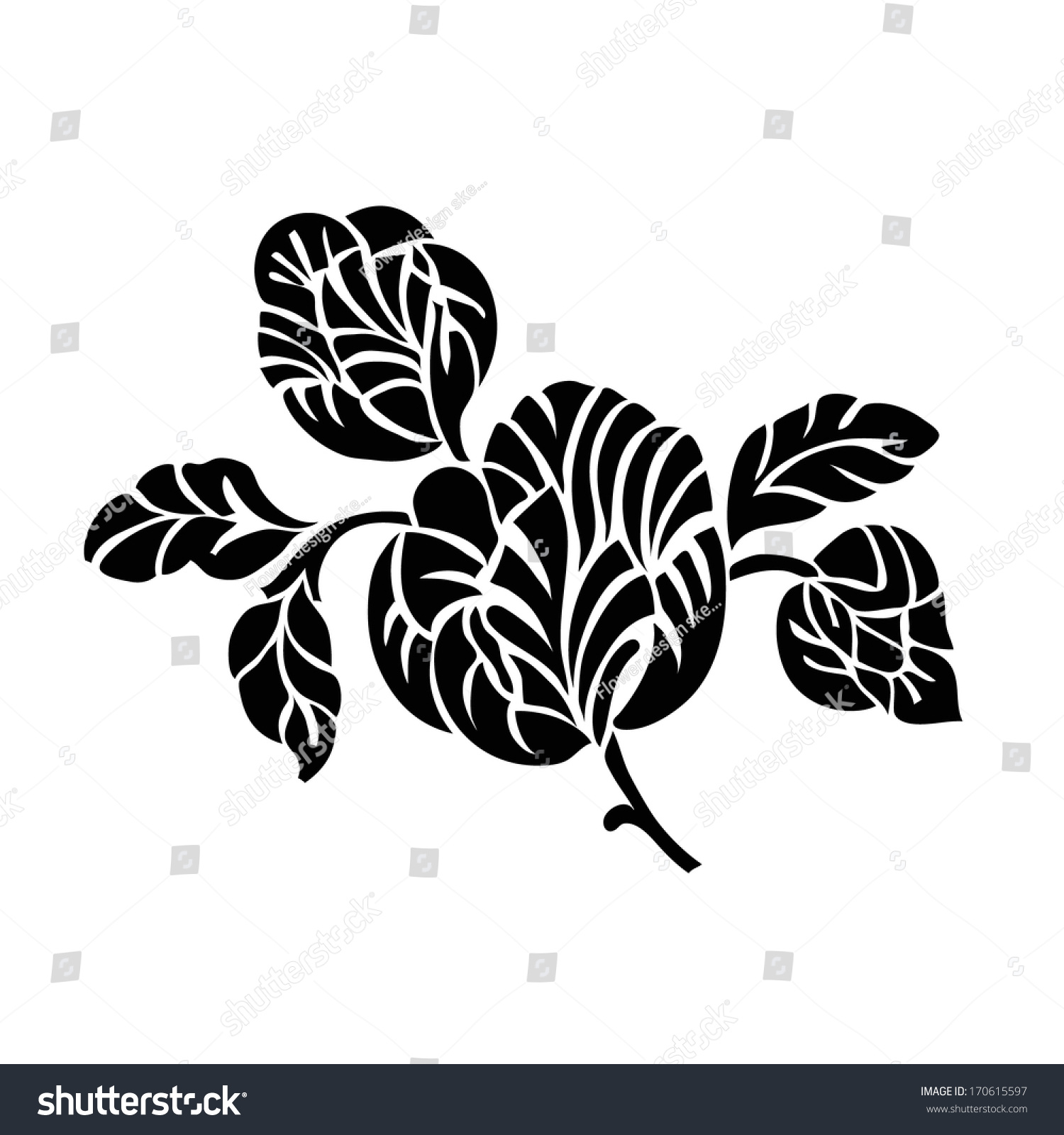Rose Motifflower Design Elements Vector Stock Vector (Royalty Free ...