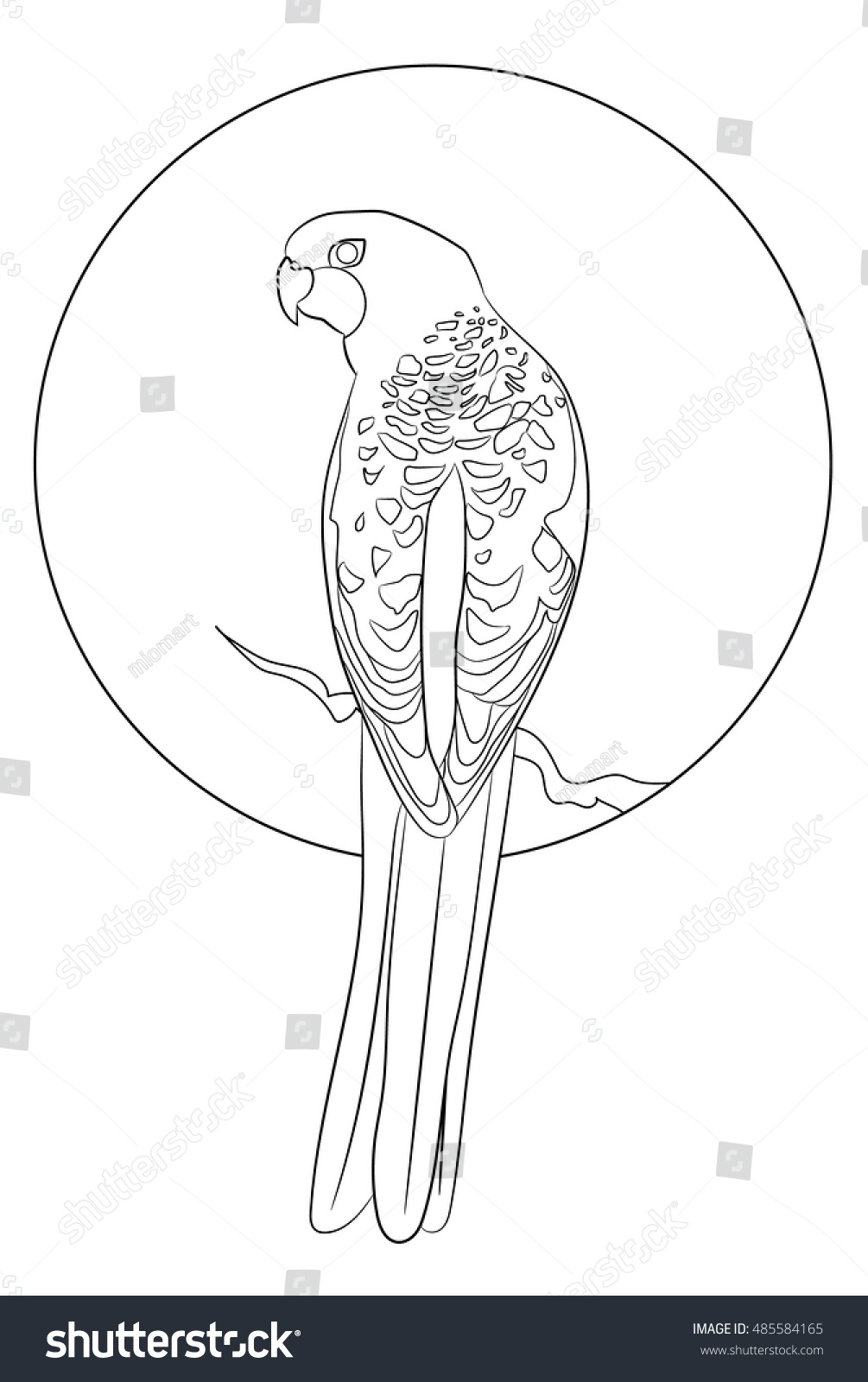 Rosella Parrot Logotype Vector Illustration: vector de stock (libre de ...