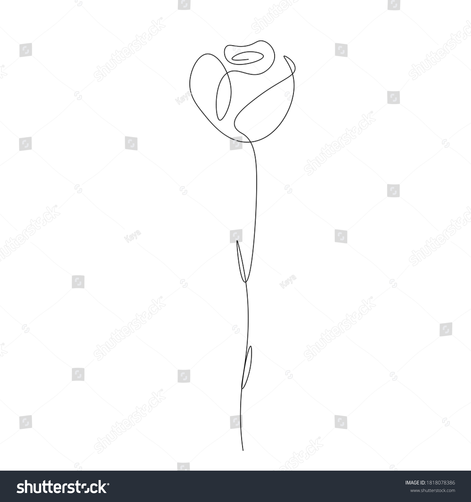 Roses Background Line Drawing Vector Illustration Stock Vector (Royalty ...