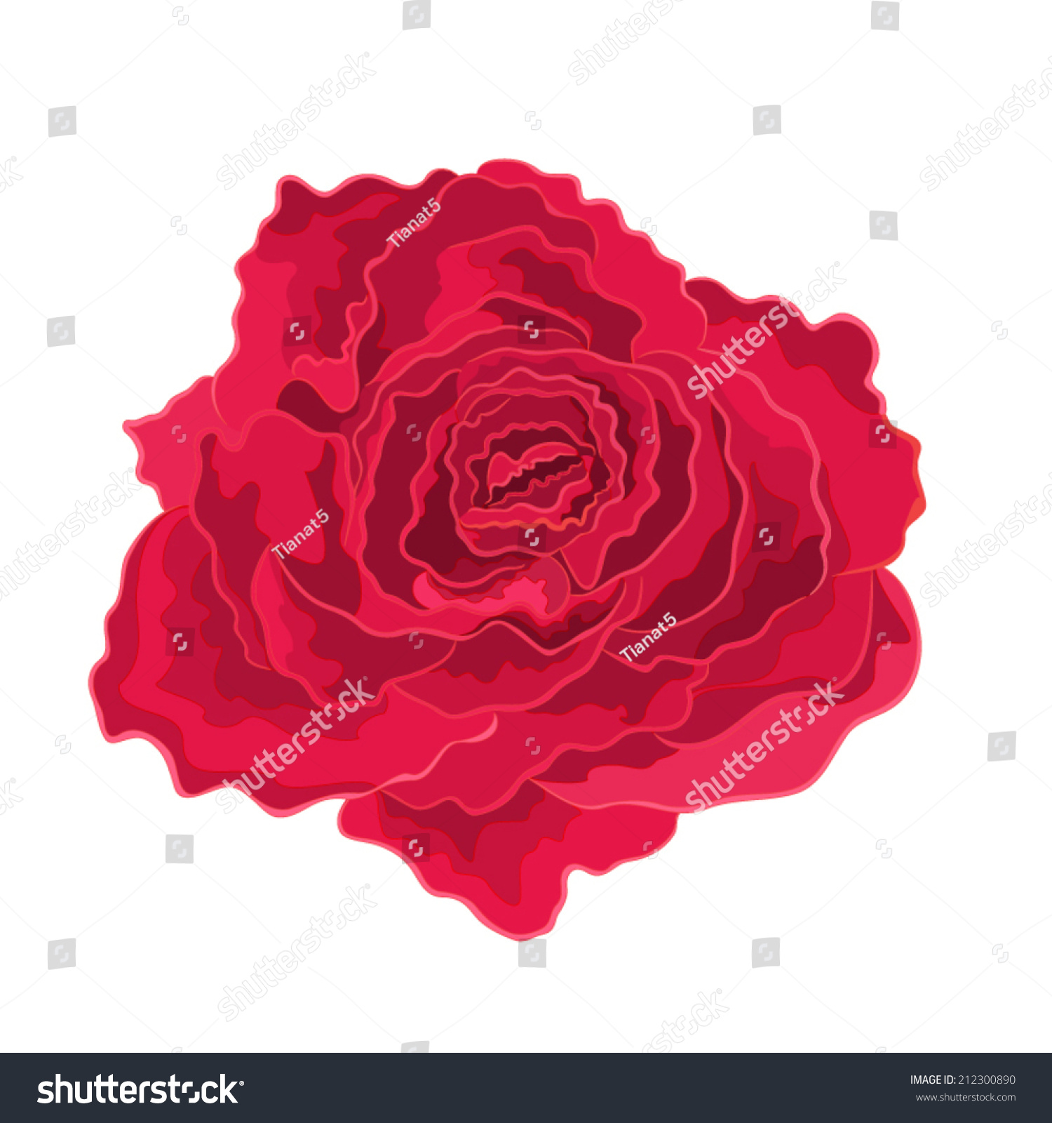 Roses Realistic Vector Illustration Stock Vector (Royalty Free) 212300890