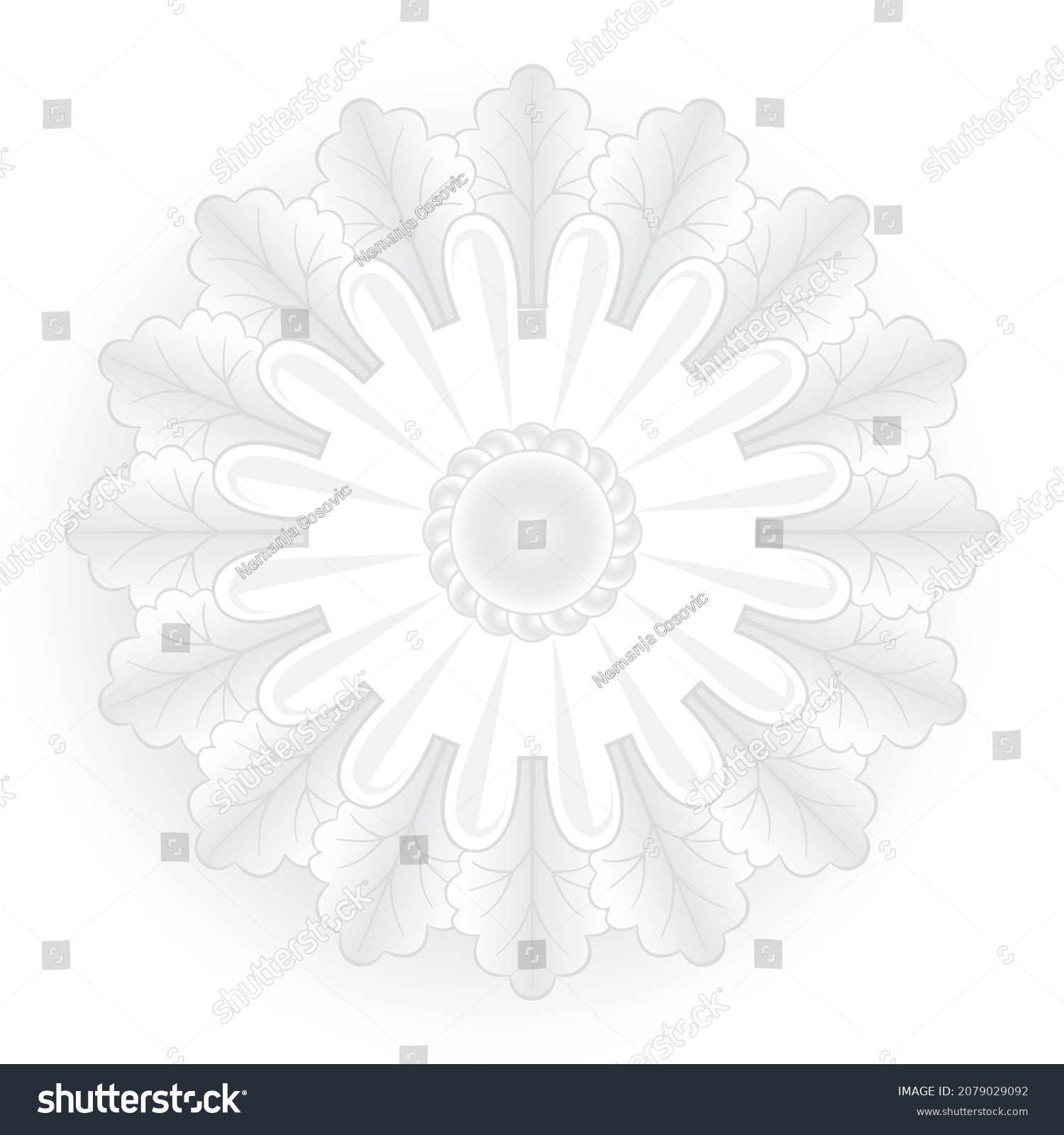Rosetta Ornament White Vector Illustration Stock Vector (Royalty Free ...