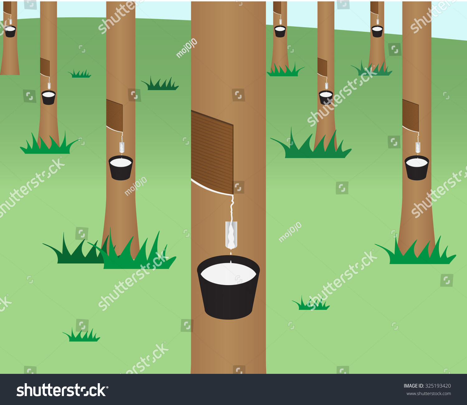 2,012 imágenes de Cartoon rubber tree - Imágenes, fotos y vectores de ...