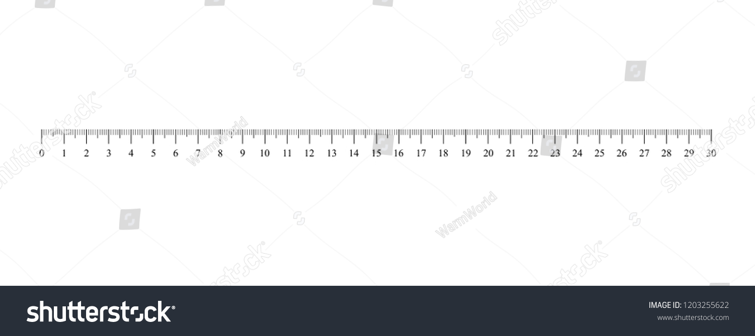 Ruler Scale Vector Illustration Stock Vector (Royalty Free) 1203255622 ...