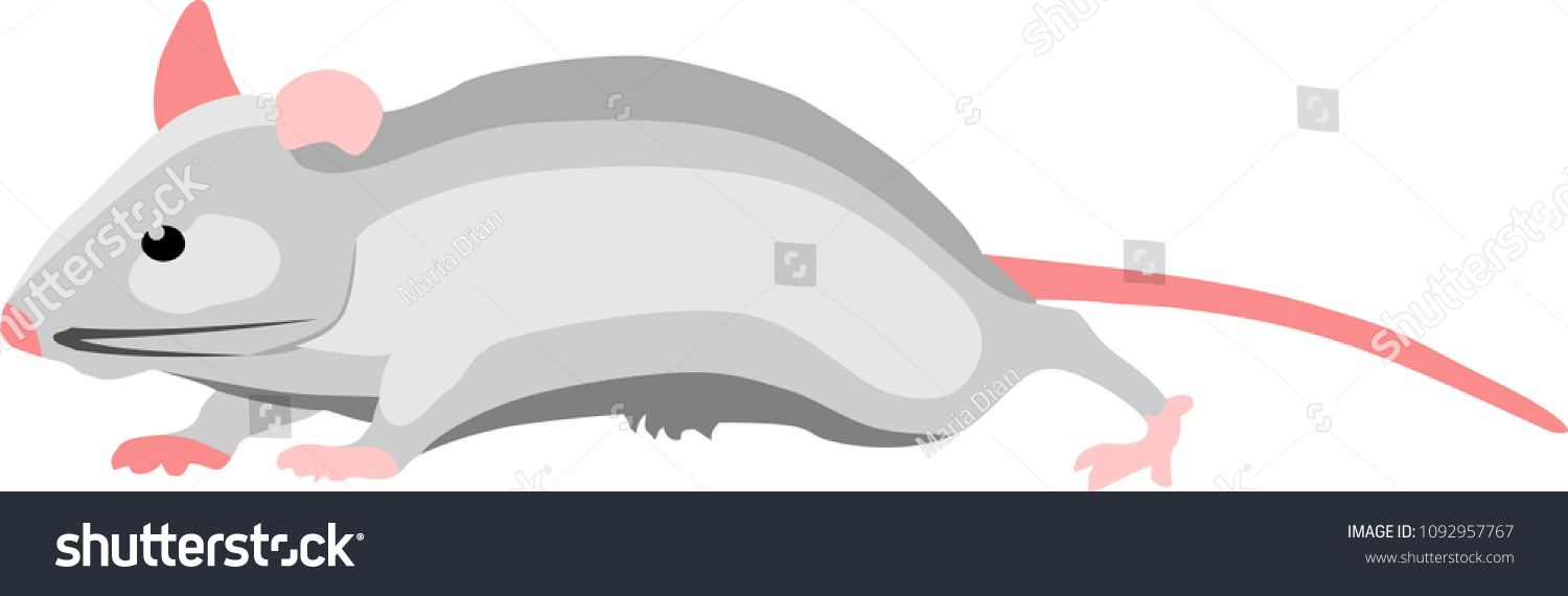 Run Mouse Illustration Stock Vector (Royalty Free) 1092957767 ...