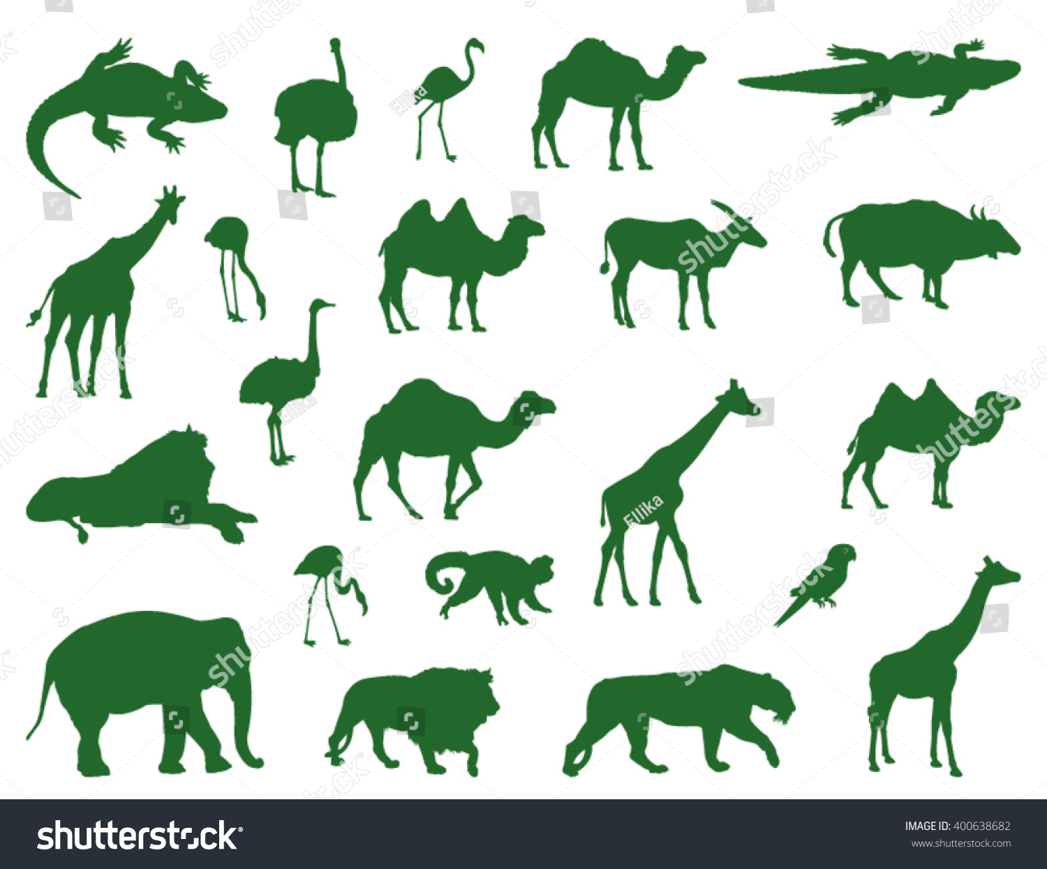Safari Animals Set Stock Vector (Royalty Free) 400638682