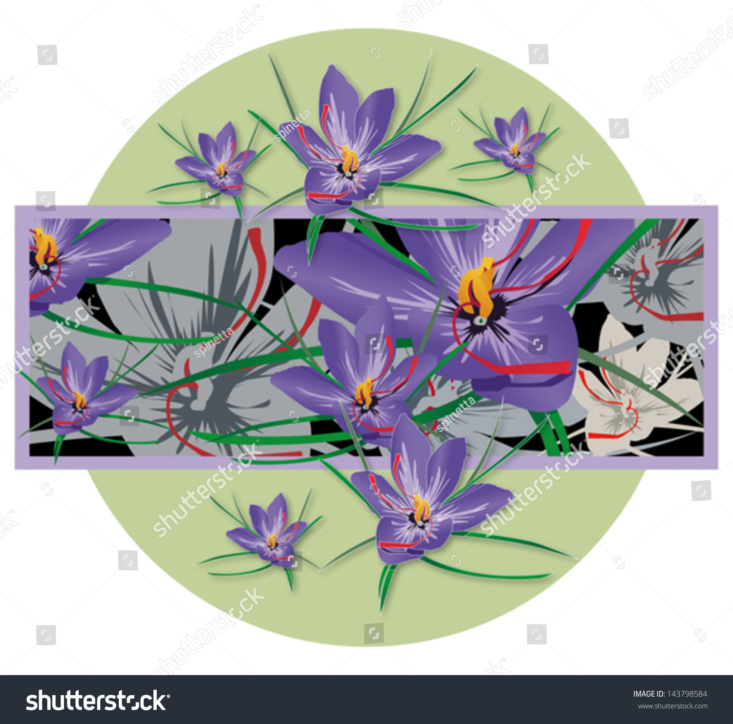Saffron Flower Stock Vector (Royalty Free) 143798584 | Shutterstock