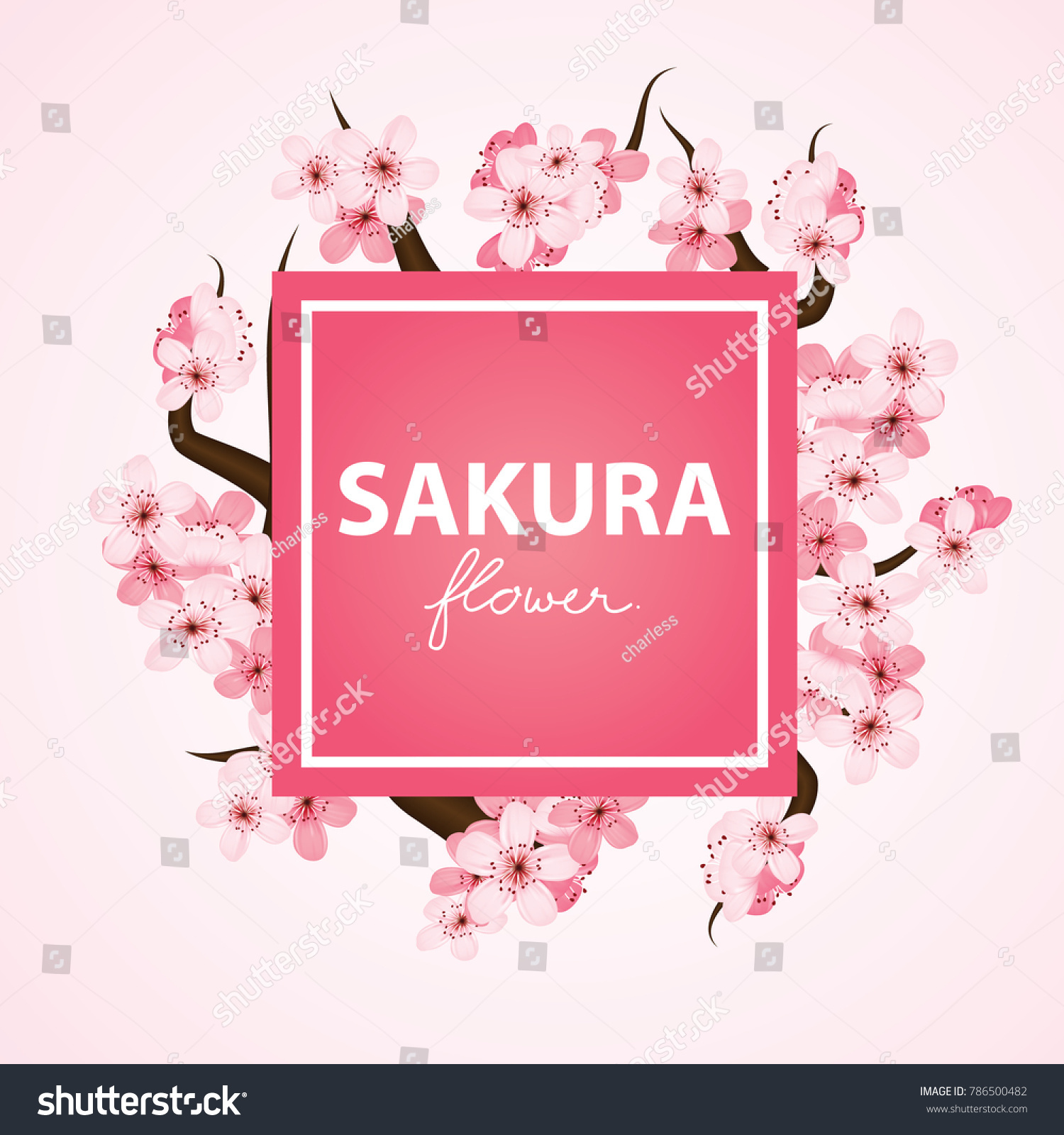 Sakura Flower Banner Vector Illustration Stock Vector (Royalty Free ...