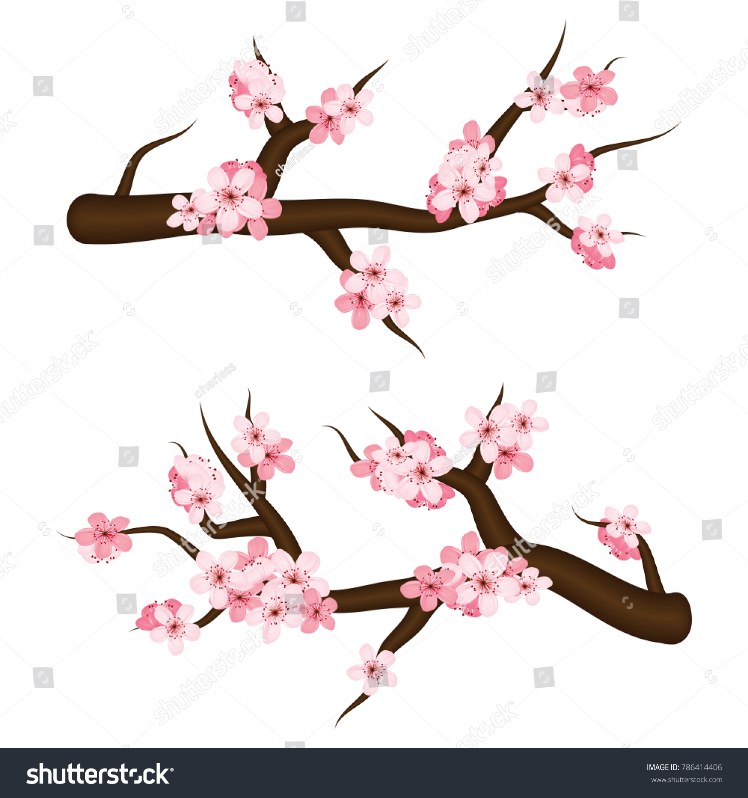 Sakura Flower Vector Illustration: เวกเตอร์สต็อก (ปลอดค่าลิขสิทธิ์ ...