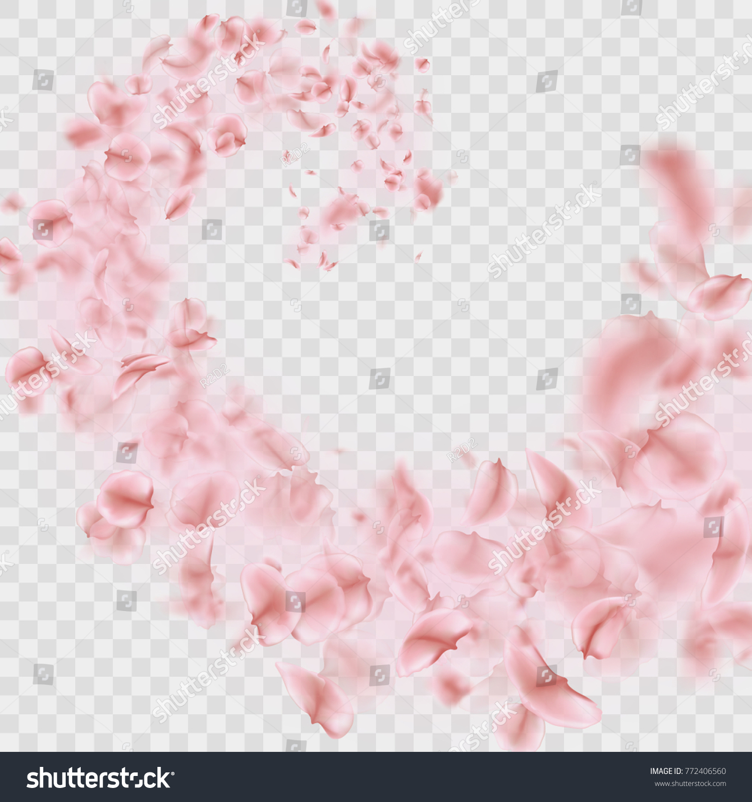 「Sakura Petals Falling Vortex Transparent Effect」のベクター画像素材（ロイヤリティフリー ...