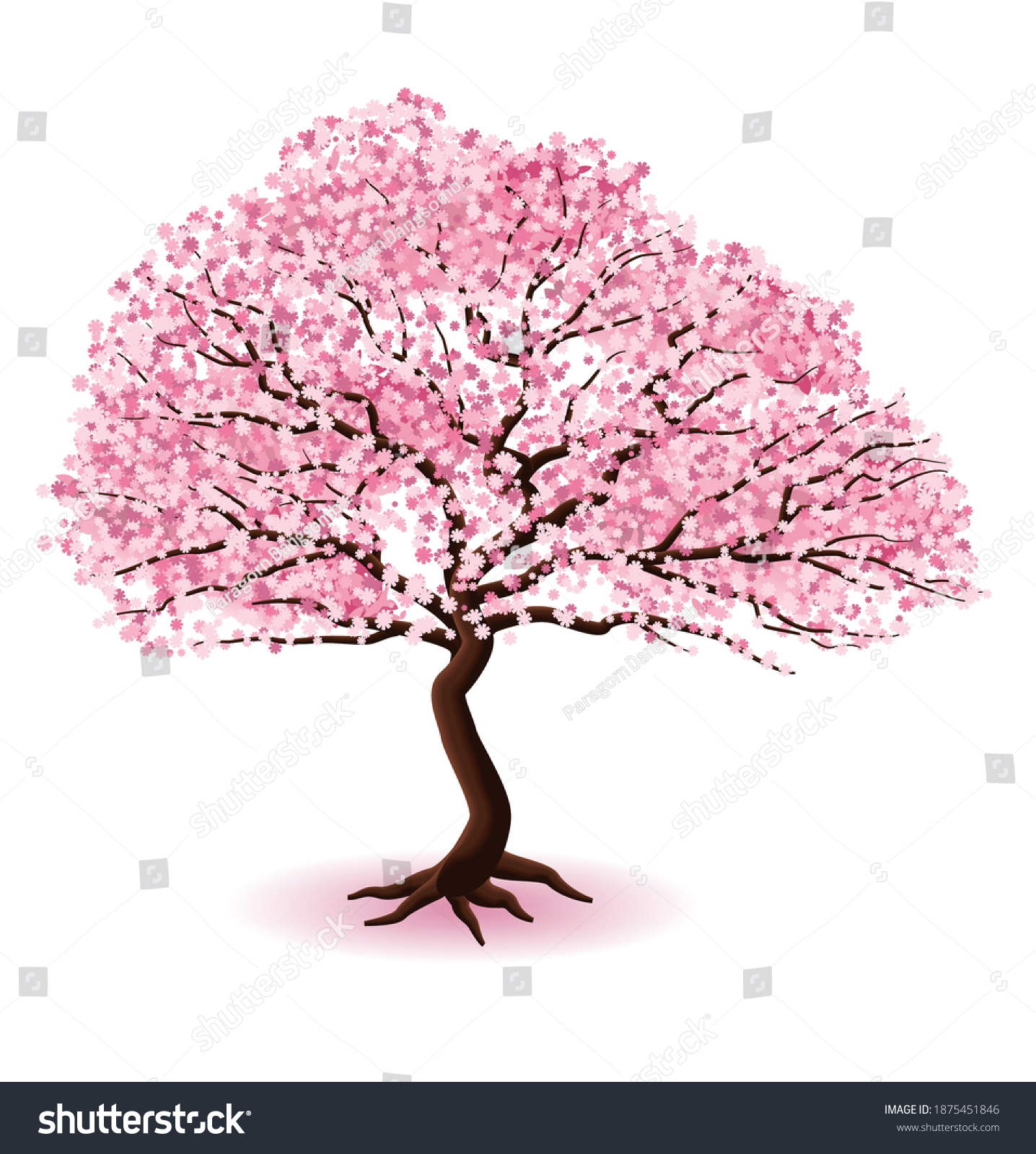 Sakura Tree Isolated On White Background Stock Vector (Royalty Free ...