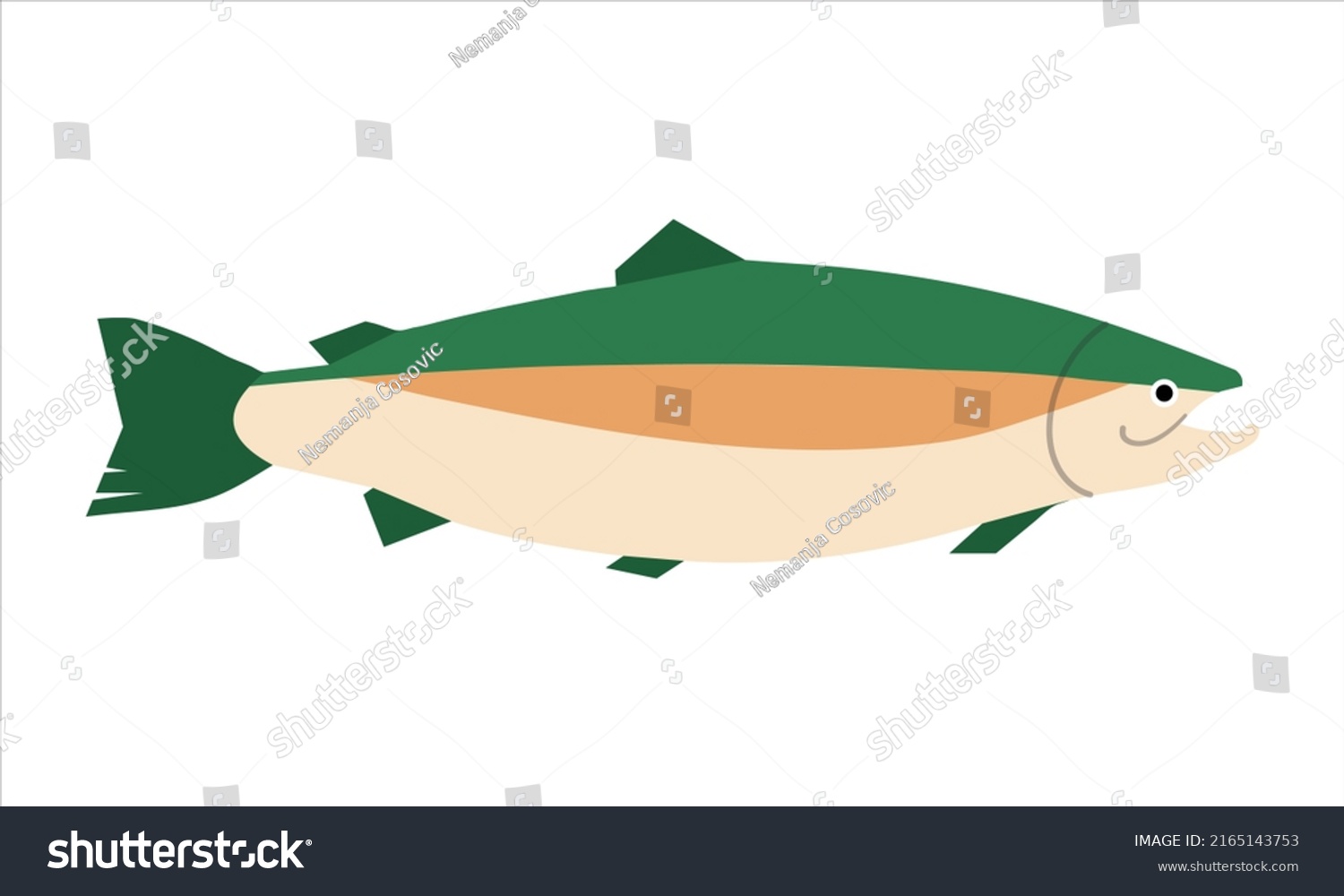 Salmon Fish Simple Colorful Vector Illustration Stock Vector (Royalty ...