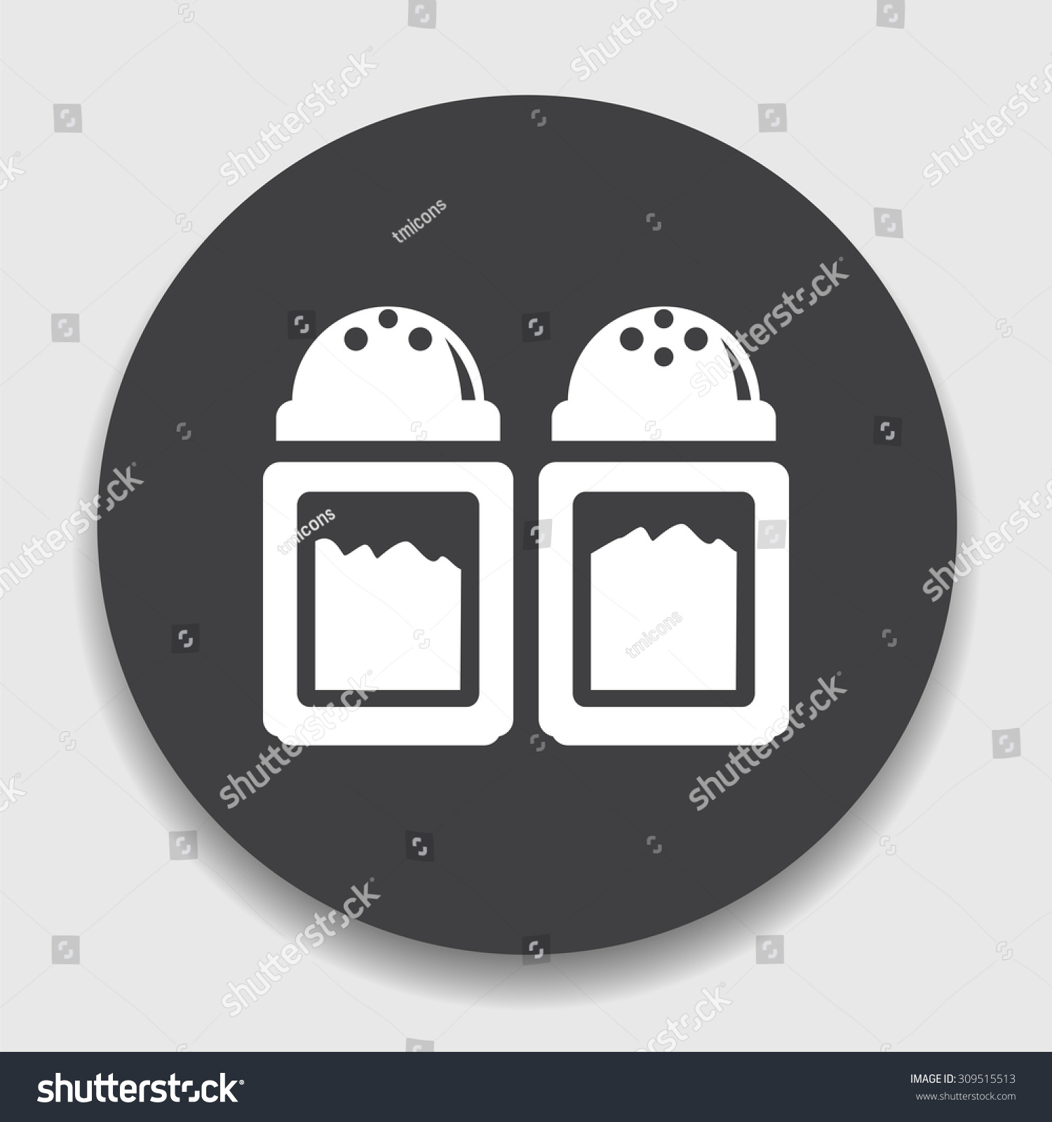Salt Pepper Icon Stock Vector (Royalty Free) 309515513 | Shutterstock