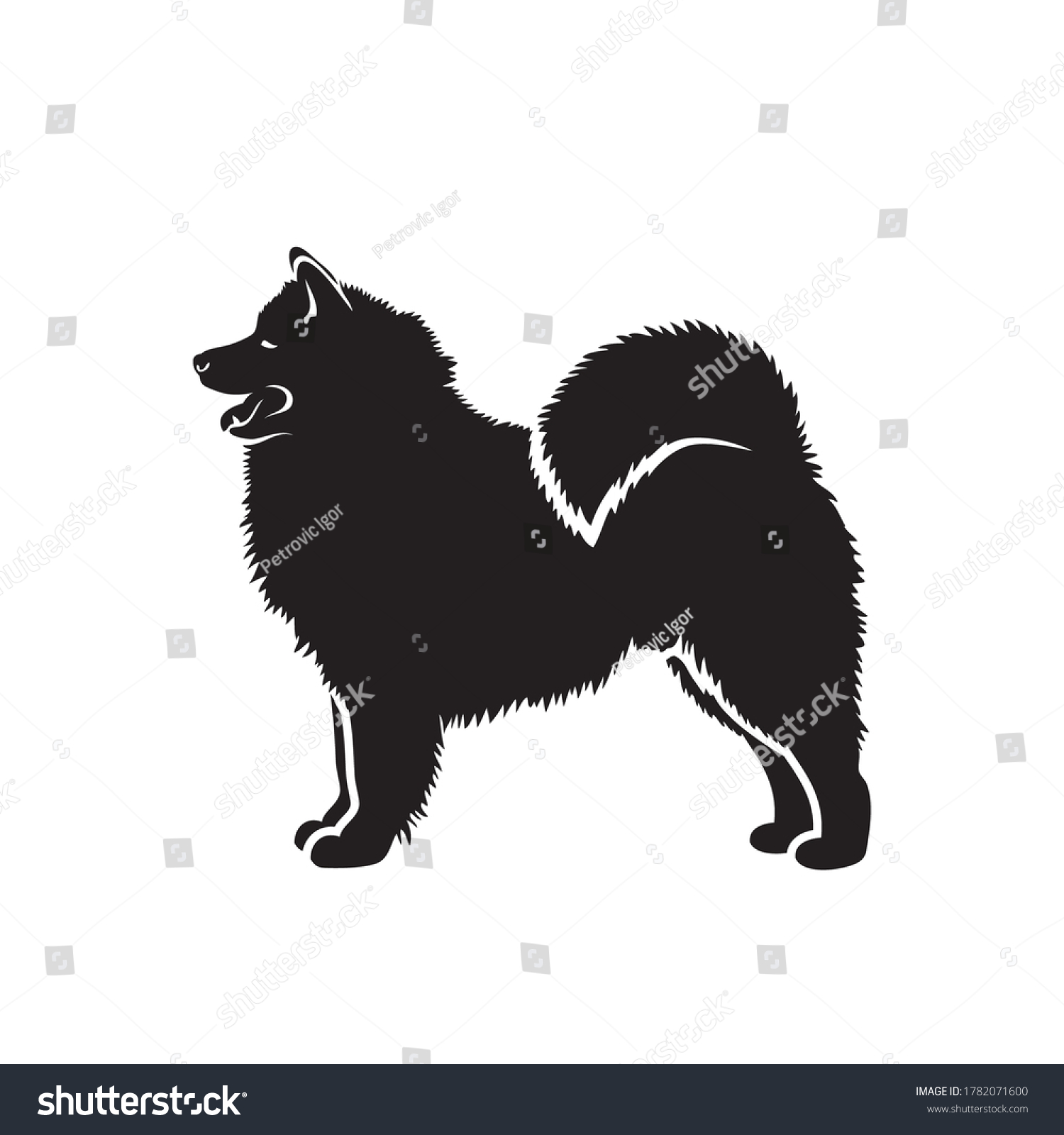 Samoyed Dog Isolated Vector Illustration Stock Vector (Royalty Free ...