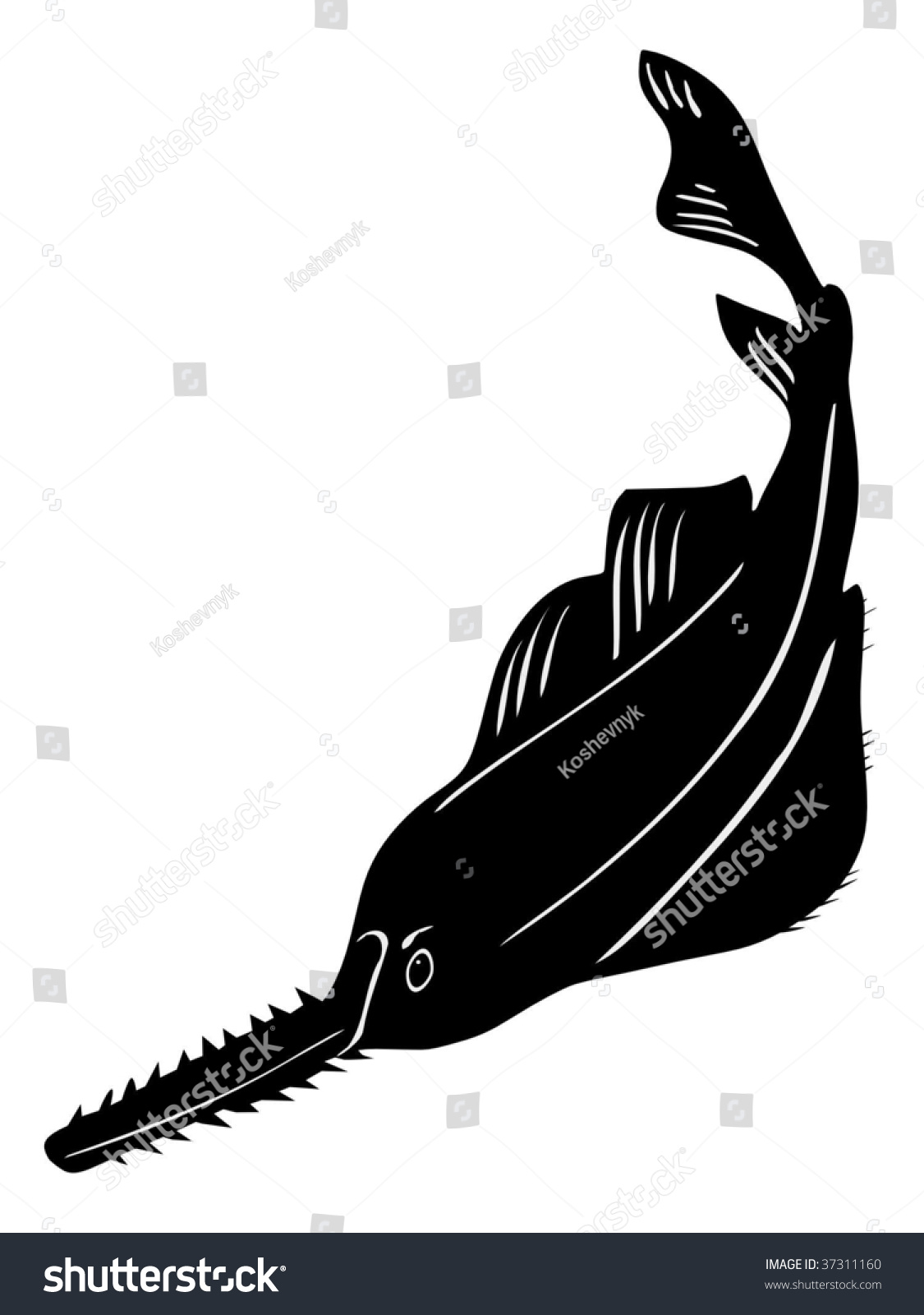 Sawfish Stock Vector (Royalty Free) 37311160 | Shutterstock