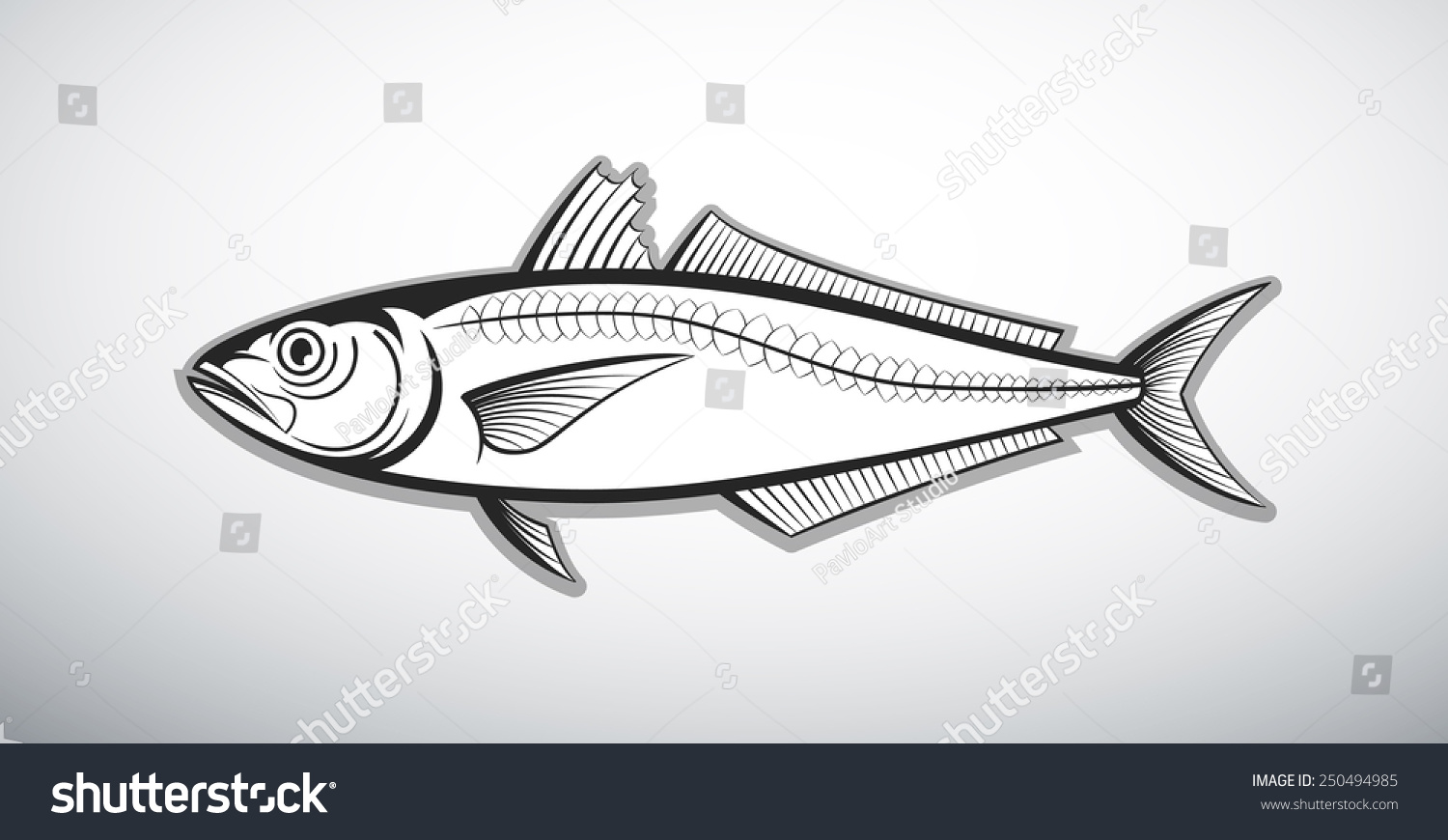 Scad Fish Outline Vector Illustration: vector de stock (libre de ...
