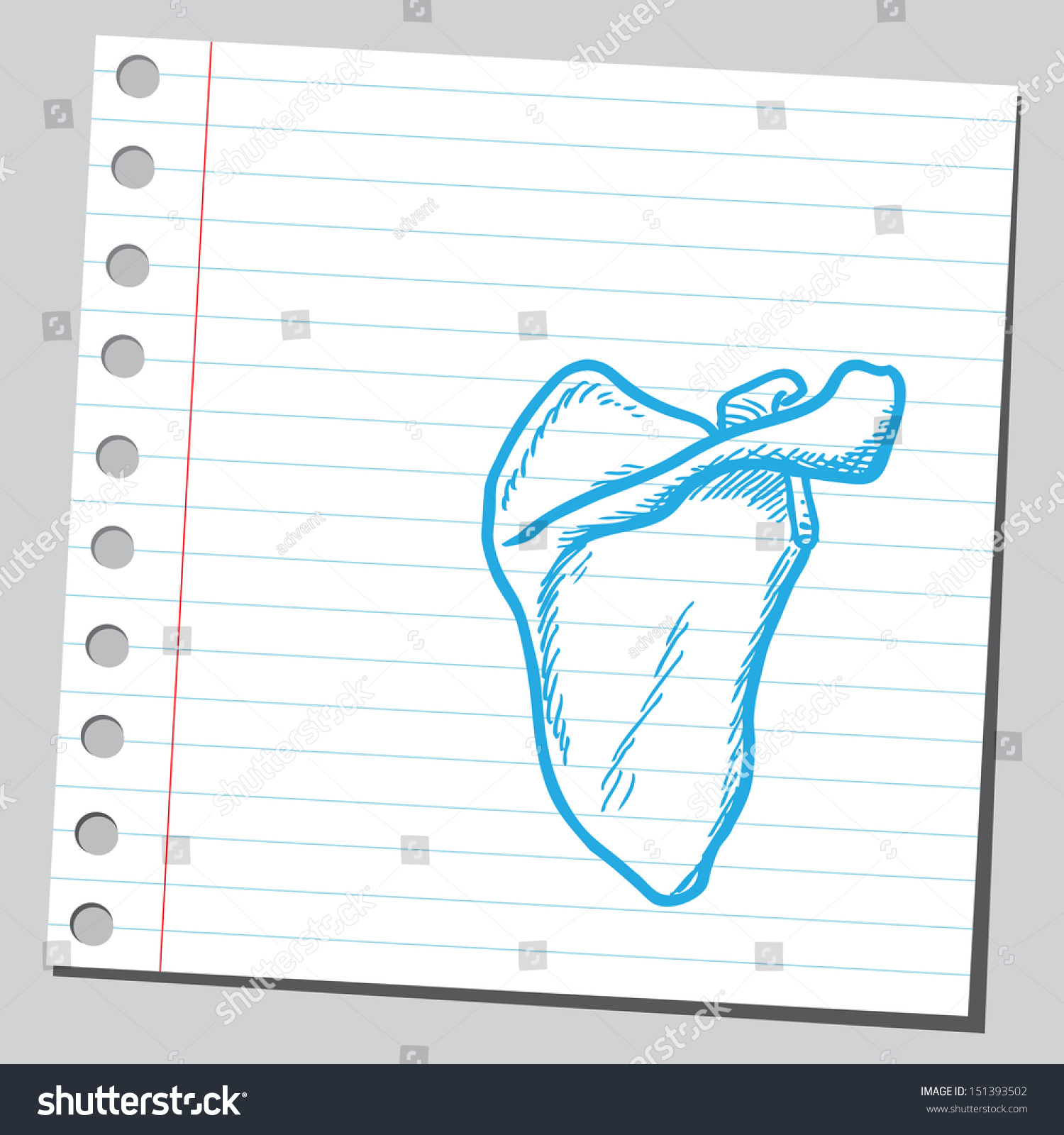 Scapula Sketch Stock Vector (Royalty Free) 151393502 | Shutterstock