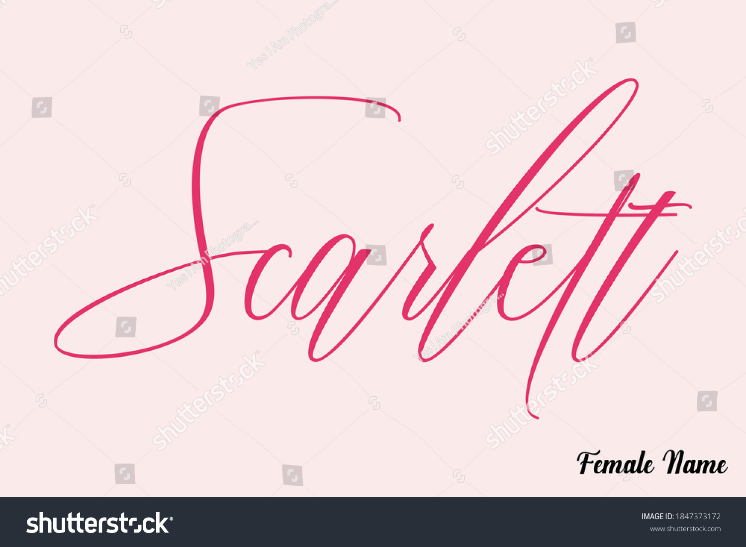 Scarlettfemale Name Calligraphy Cursive Dork Pink: เวกเตอร์สต็อก (ปลอด ... Scarlettfemale Name Calligraphy Cursive Dork Pink: เวกเตอร์สต็อก (ปลอด ...