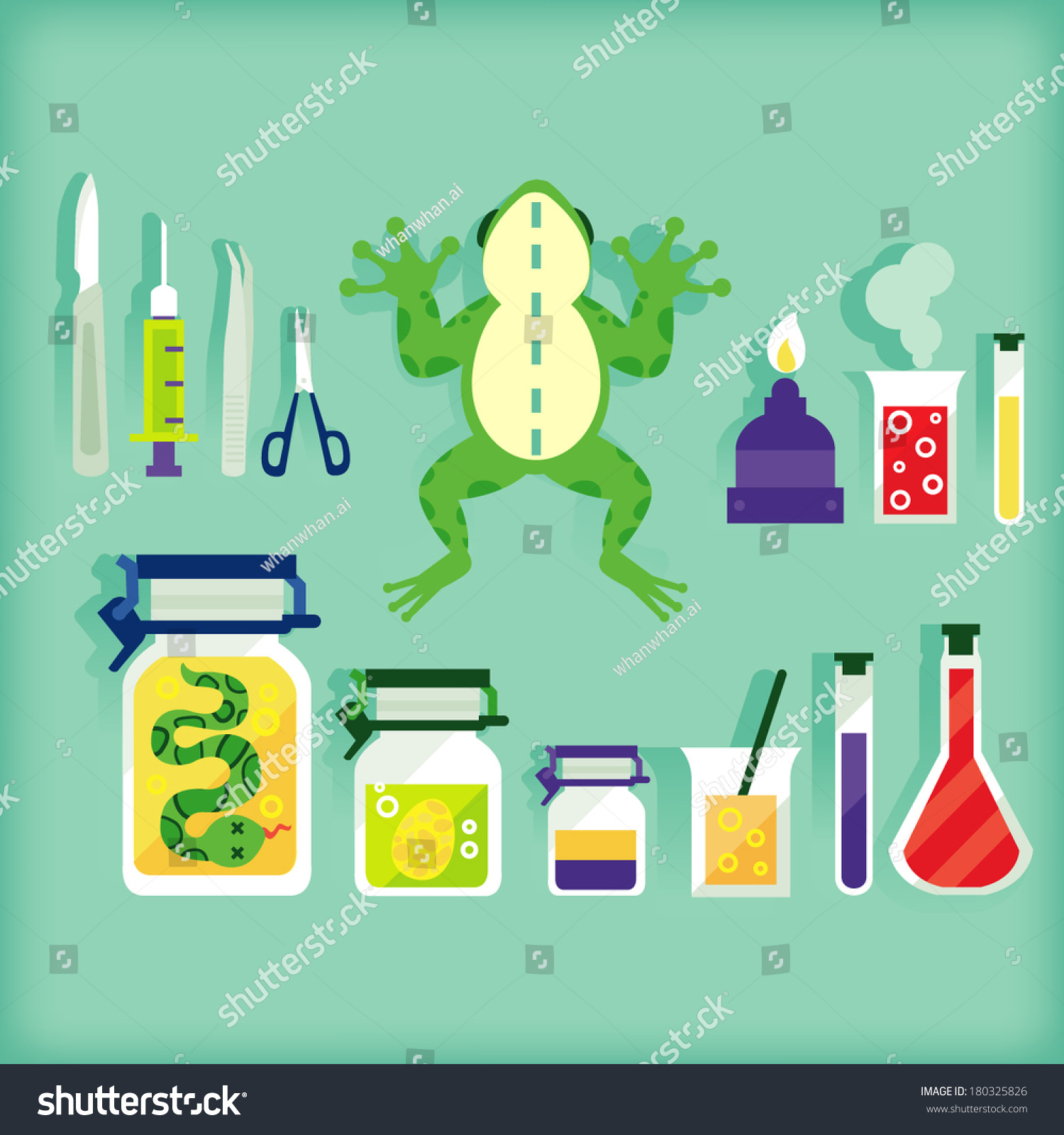 Science Biology Stock Vector (Royalty Free) 180325826
