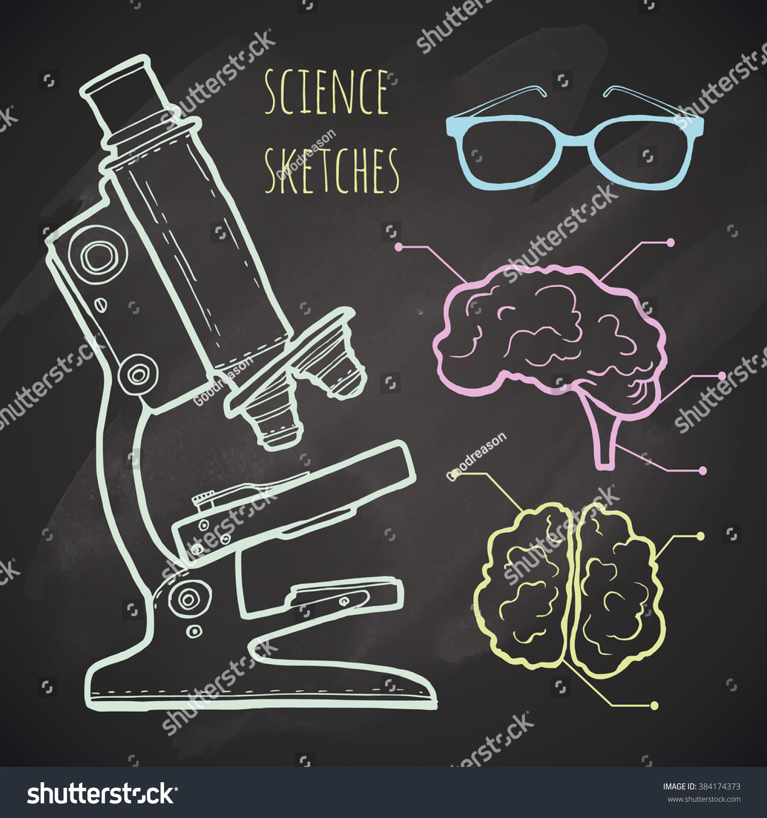 Science Set Sketch Illustration Stock Vector (Royalty Free) 384174373 ...