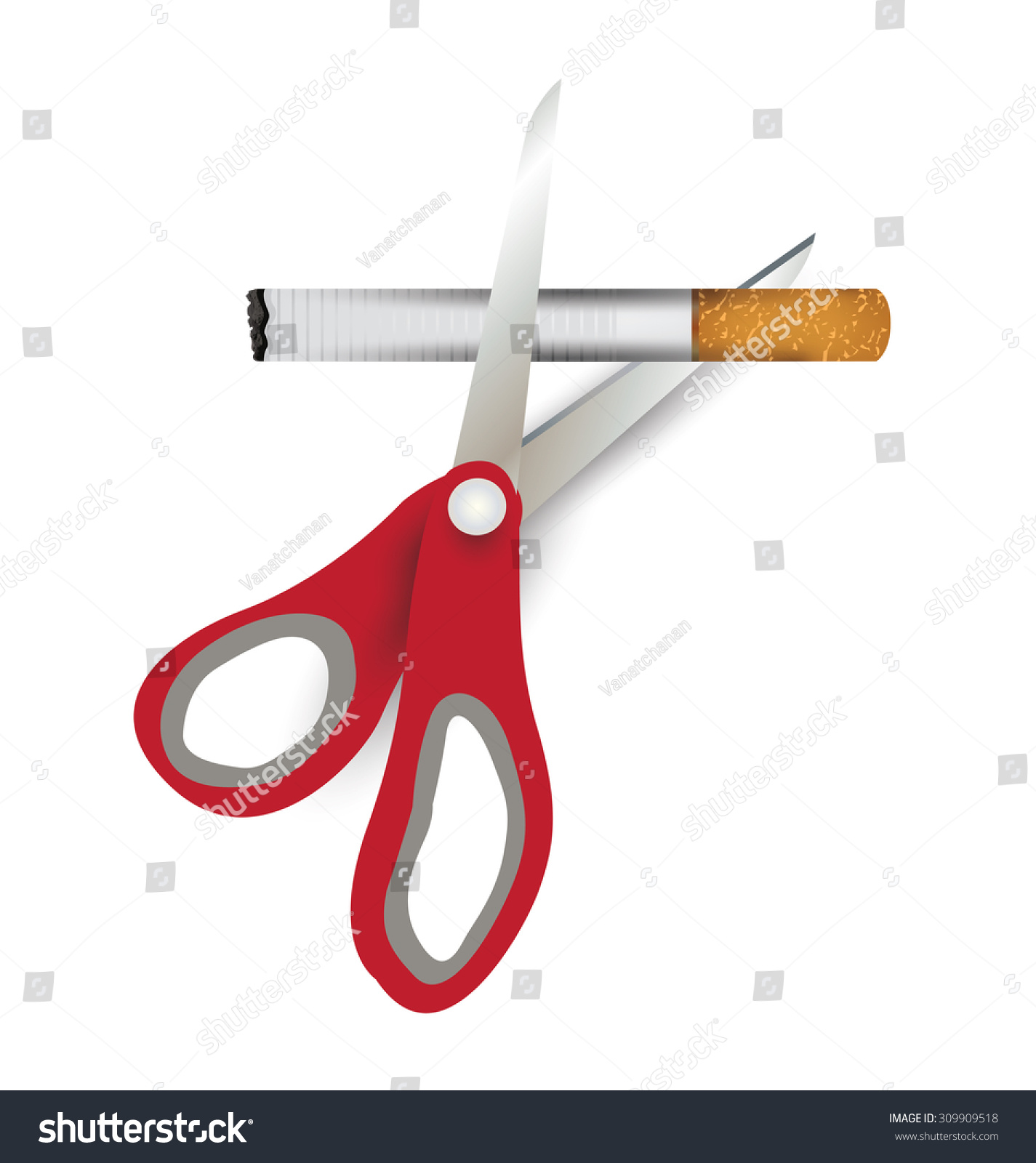 Scissors Cut Cigarettes Vector Illustration Stock Vector (Royalty Free ...