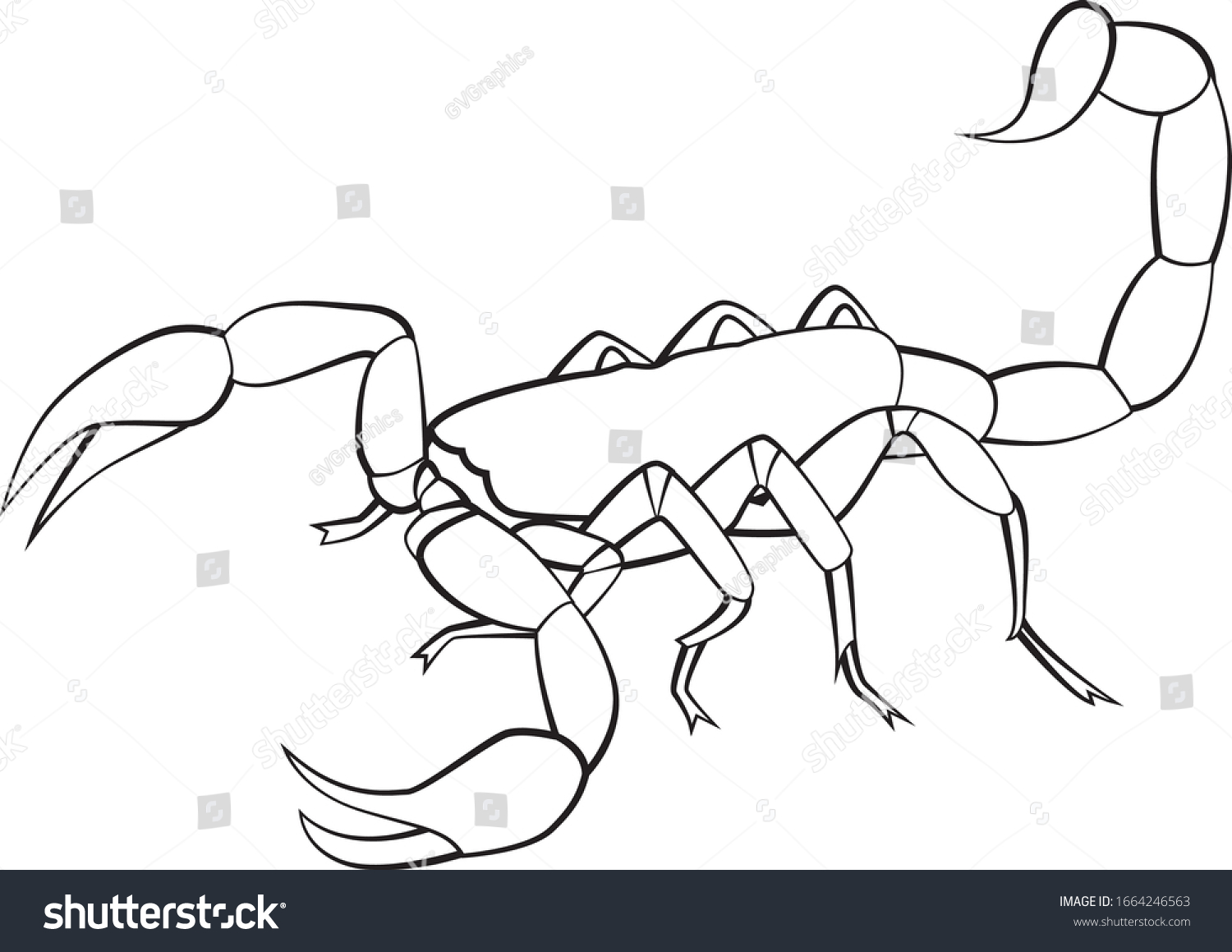 Scorpio Line Art Vector Illustration: เวกเตอร์สต็อก (ปลอดค่าลิขสิทธิ์ ...