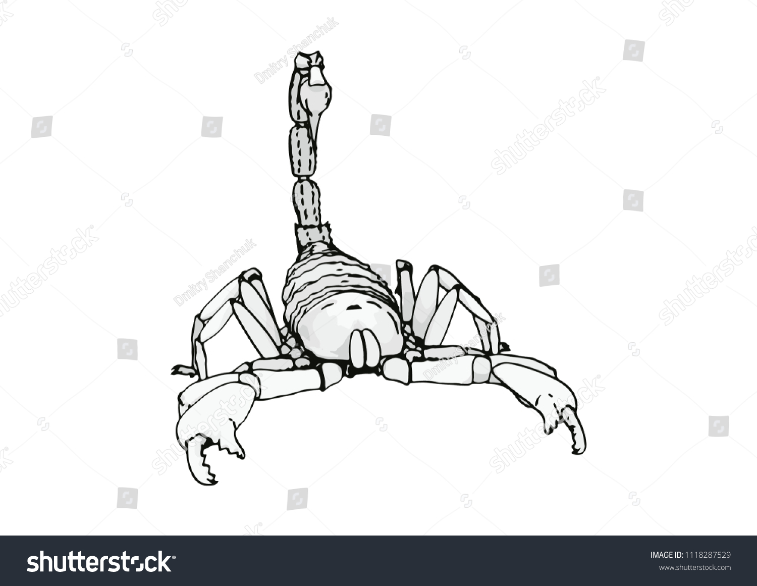 Scorpion Vector Outline Stock Vector (Royalty Free) 1118287529 ...
