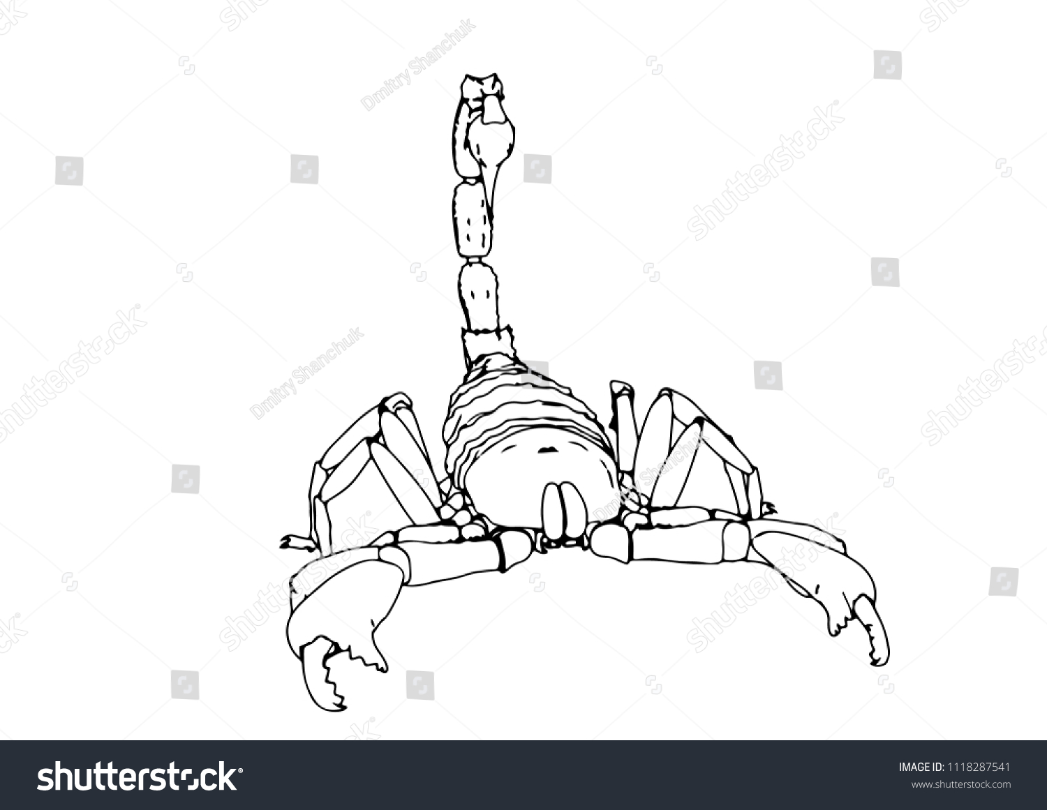 Scorpion Vector Outline Stock Vector (Royalty Free) 1118287541 ...