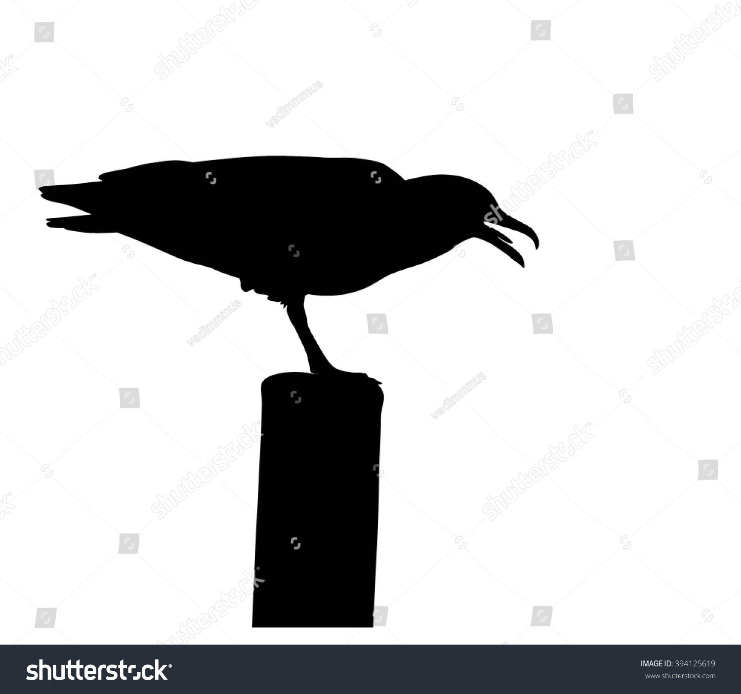48 Seagull screaming Stock Illustrations, Images & Vectors | Shutterstock
