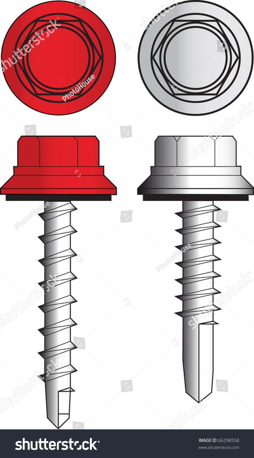 Screws Illustration Stock Vector (Royalty Free) 66298558