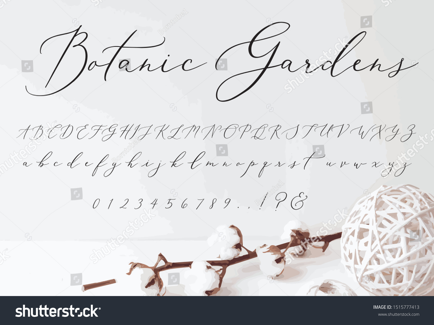 Script Font Alphabet Wedding Invitations: vector de stock (libre de ...