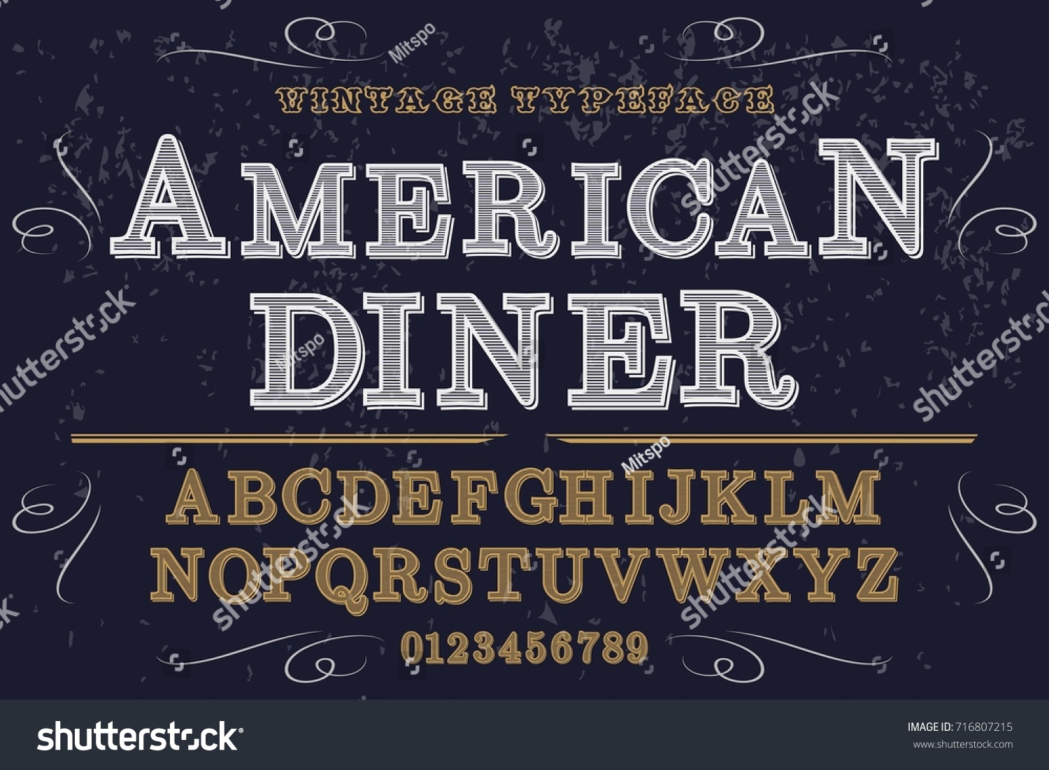 Script Handcrafted Vector Calligraphy Font ...