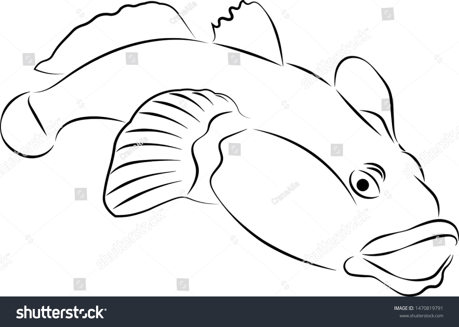 Sea Fish Goby Vector Isolated Stock Vector (Royalty Free) 1470819791