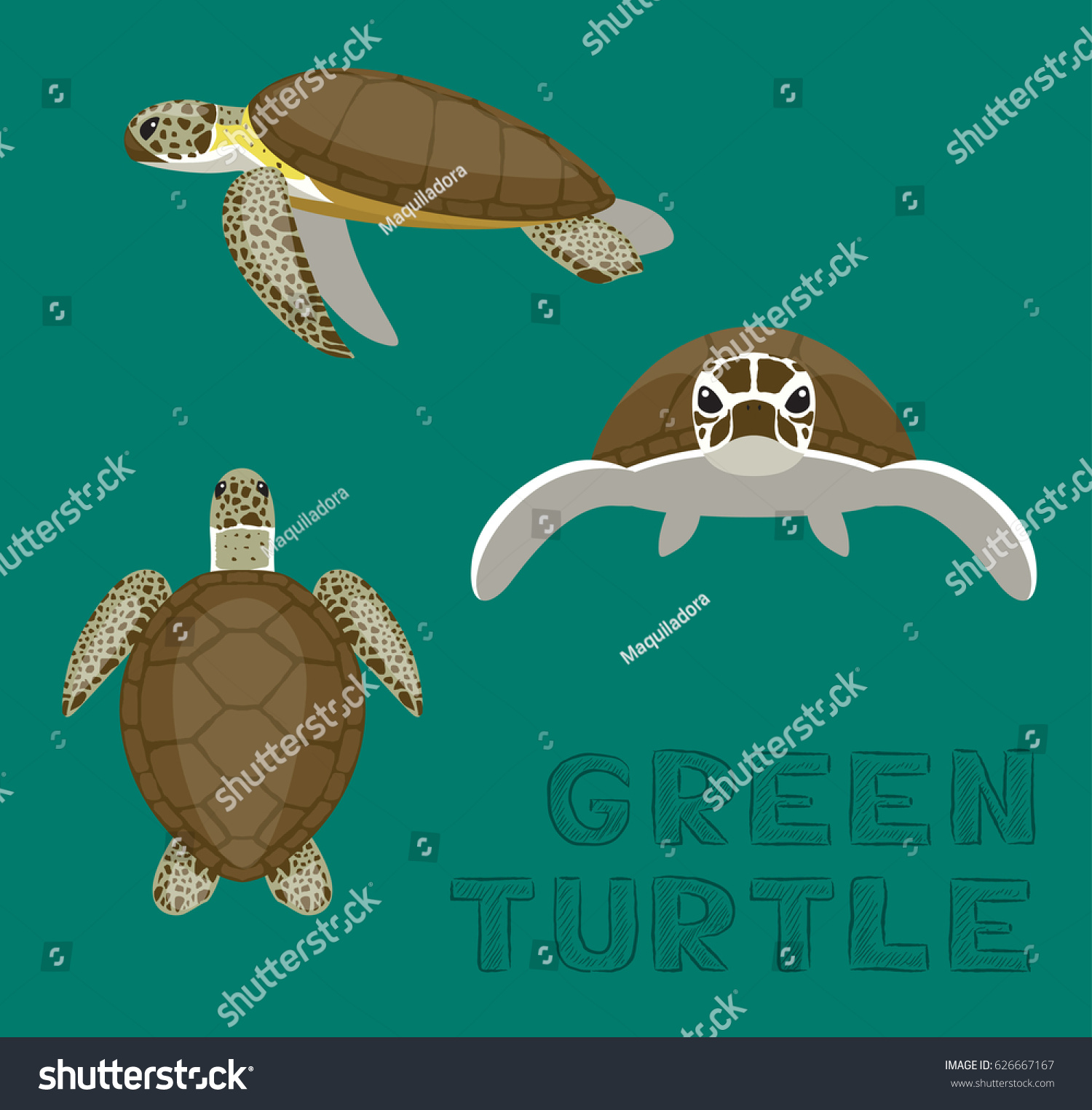 Sea Green Turtle Loggerhead Cartoon Vector Stock Vector (Royalty Free ...