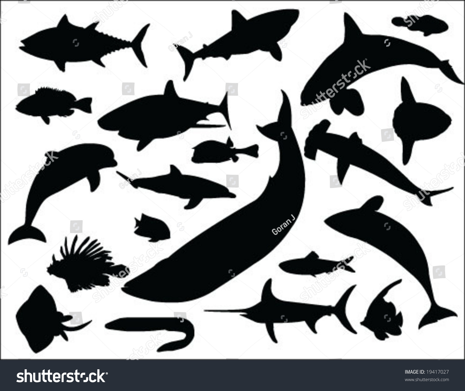 Sea Life Vector Collection Stock Vector (Royalty Free) 19417027 ...
