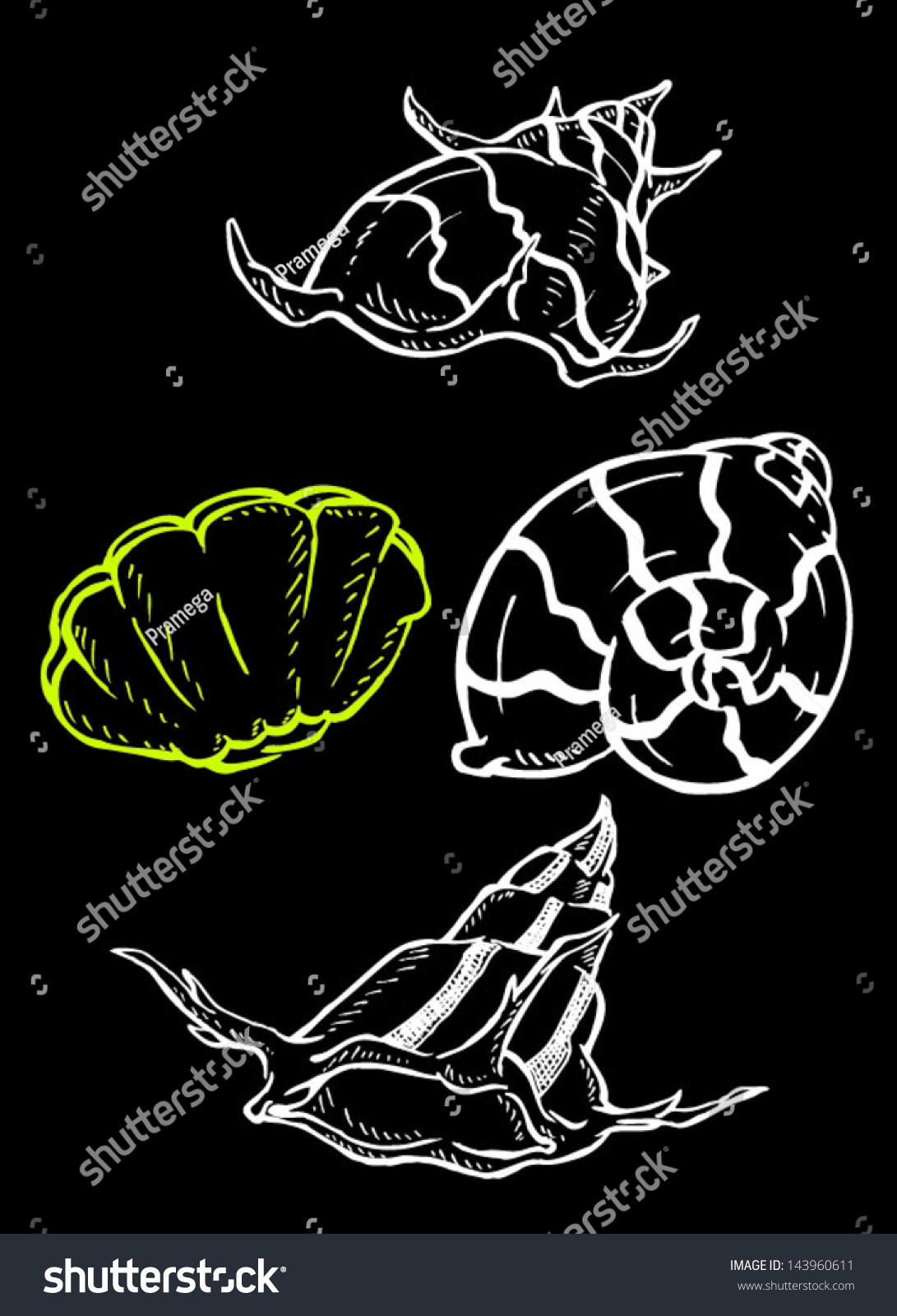 Sea Shell Simple Drawing Stock Vector (Royalty Free) 143960611 ...