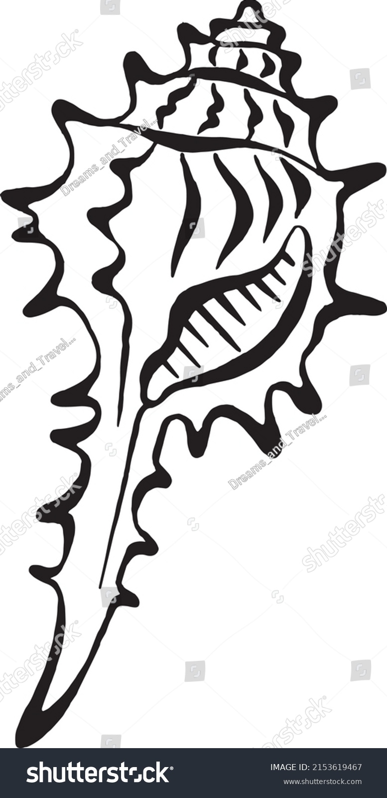 Sea Shell Stylized Outline Drawing Stock Vector (Royalty Free ...