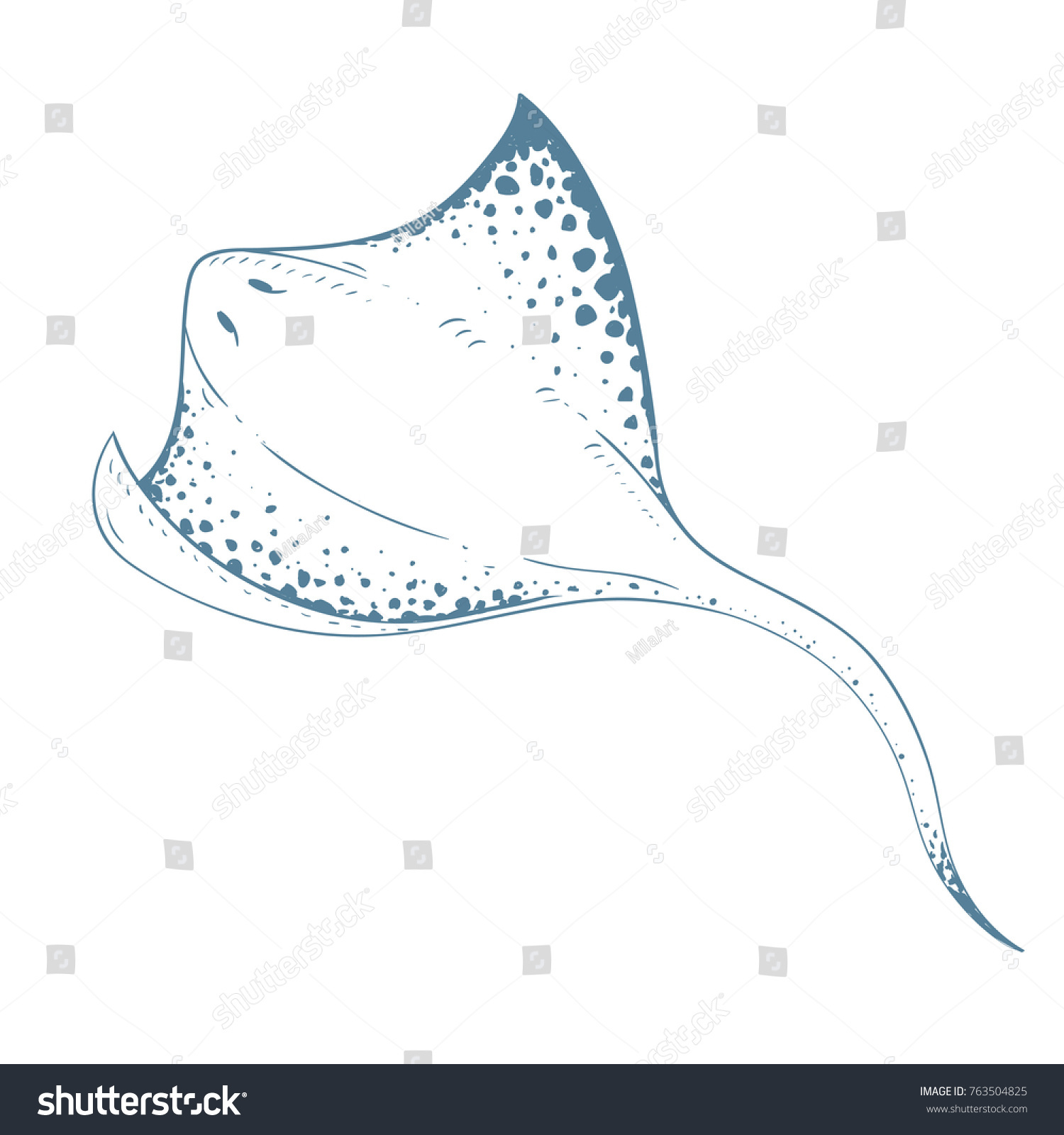 Sea Stingray Vector Illustration Stock Vector (Royalty Free) 763504825
